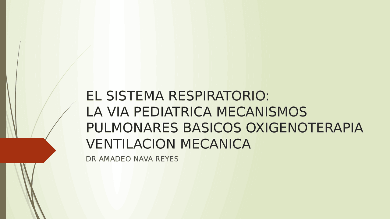 Sistema Respiratorio Diapositivas De Anestesiología Docsity