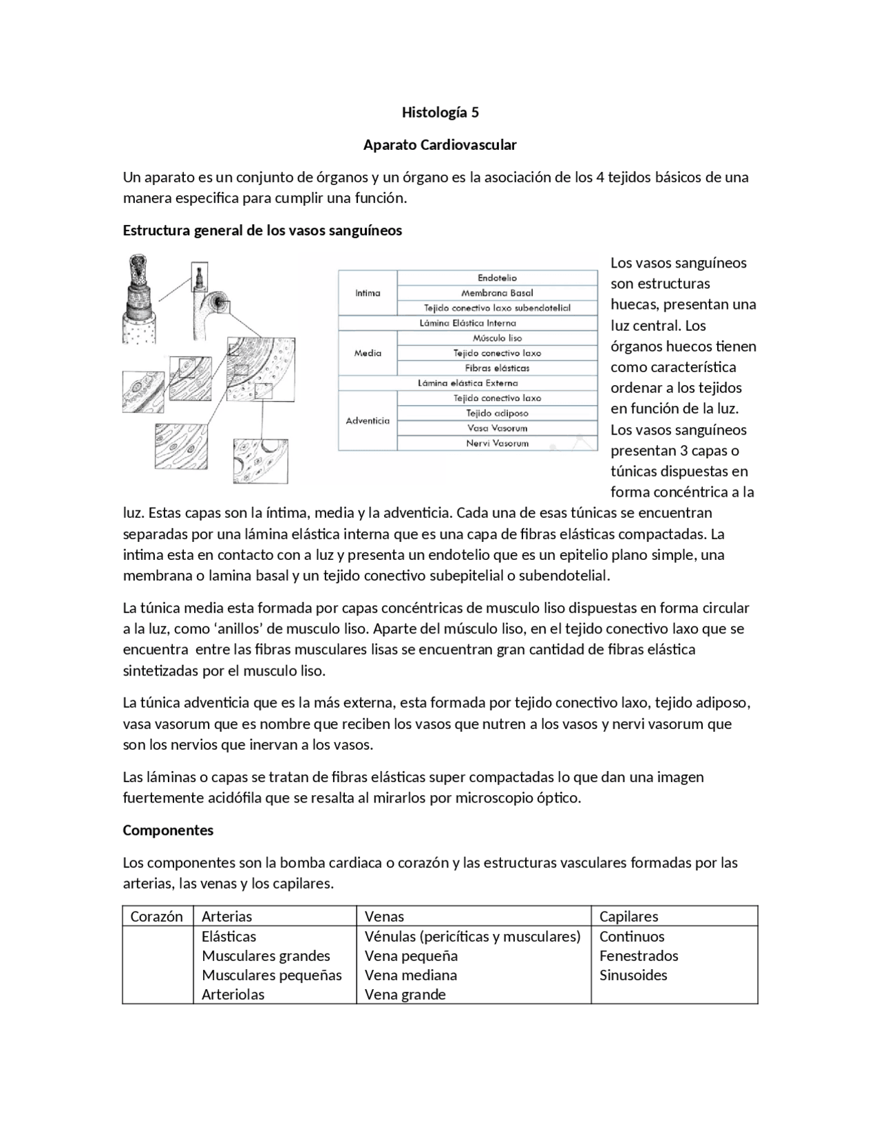 Apunte Histología 5 Sistema Cardiovascular Docsity