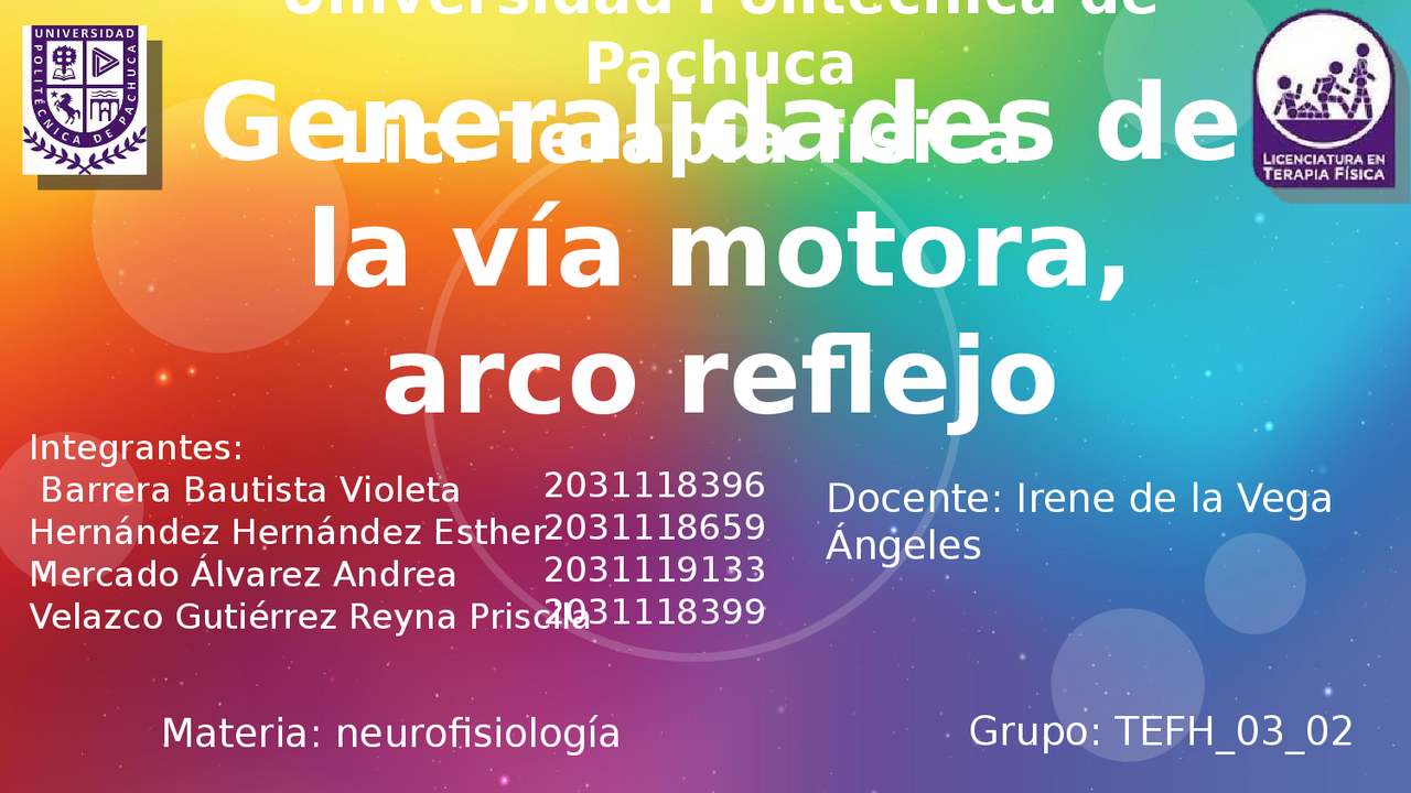 Generalidades de la via motora y arco reflejo - Docsity