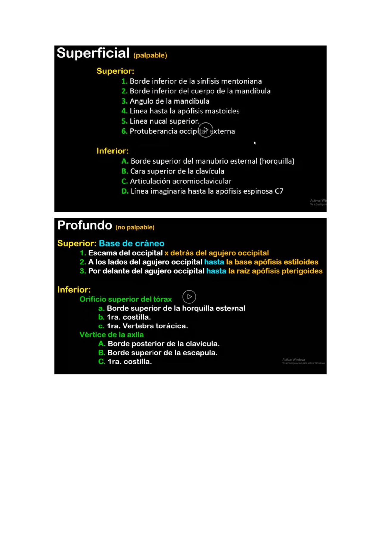 Apuntes De Anatomía Sobre Cuello Docsity