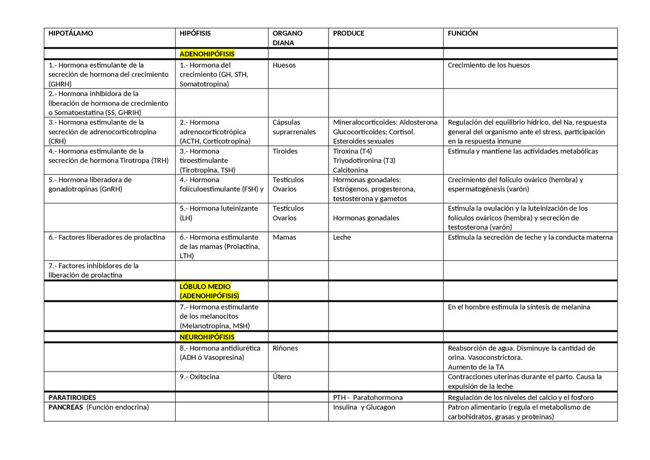Hormonas Endocrinas Docsity