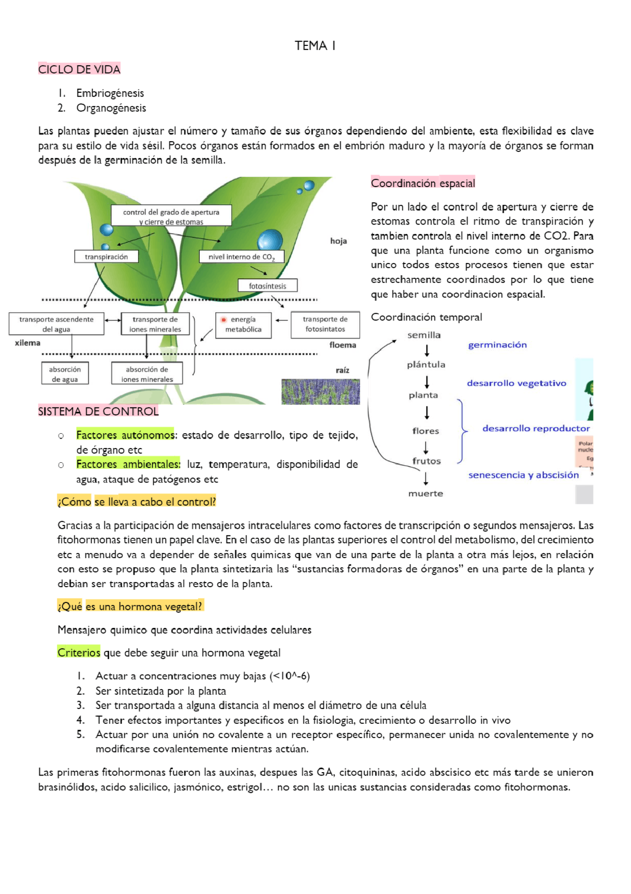 TEMA 1 fisologia vegetal | Apuntes de Fisiología de las Plantas | Docsity