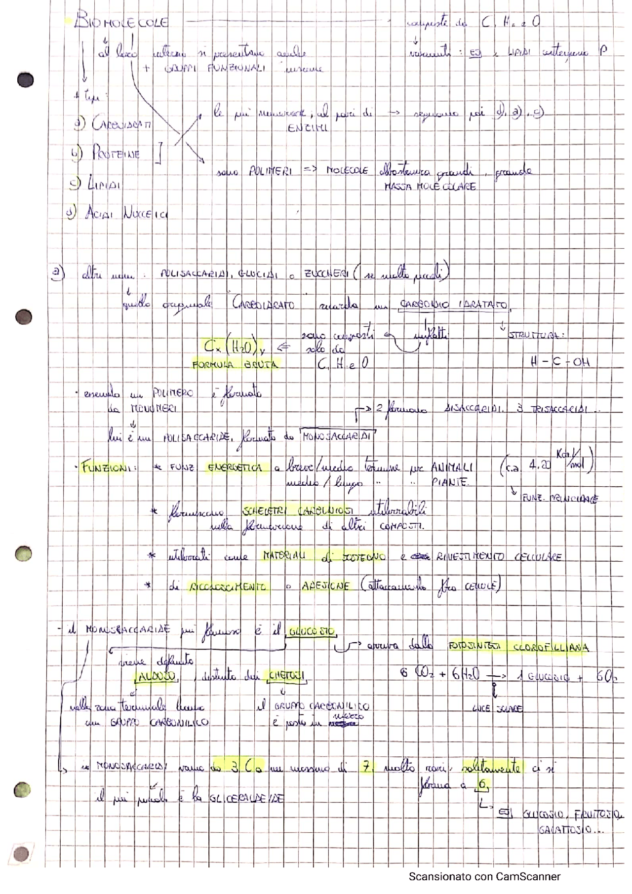 Appunti Liceo Biomolecole Docsity