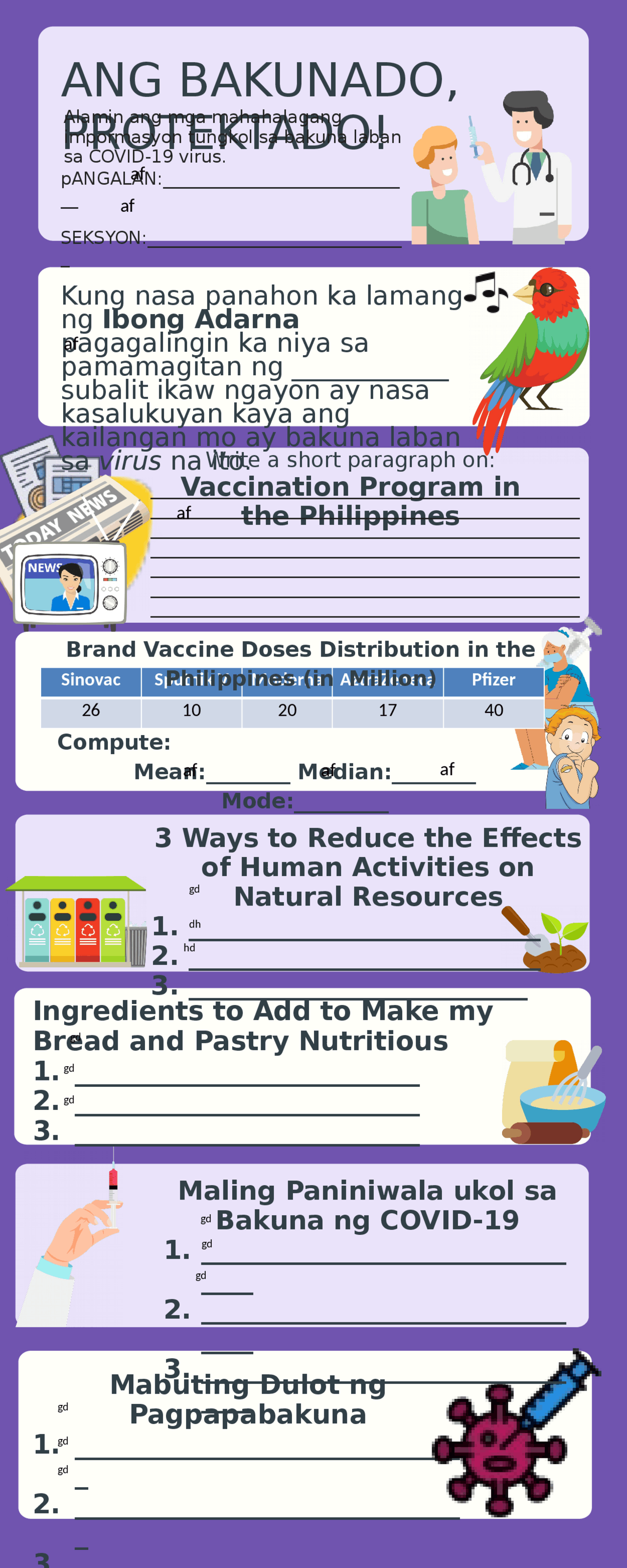 Cognitive Development Theory Docsity