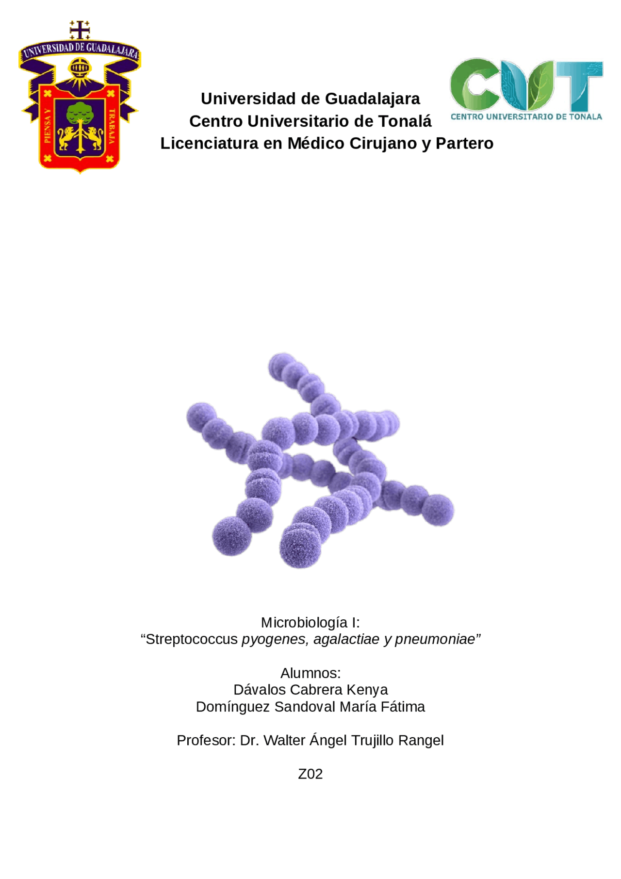 Microbiología Streptococcus Pyogenes Pneumoniae Agalactie Docsity