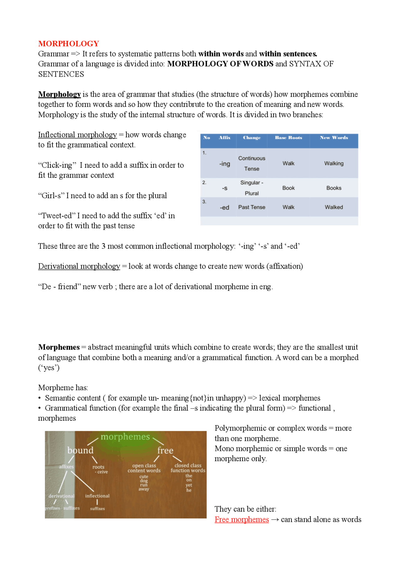 Morfologia inglese e sintassi | Appunti di Morfologia e Sintassi | Docsity