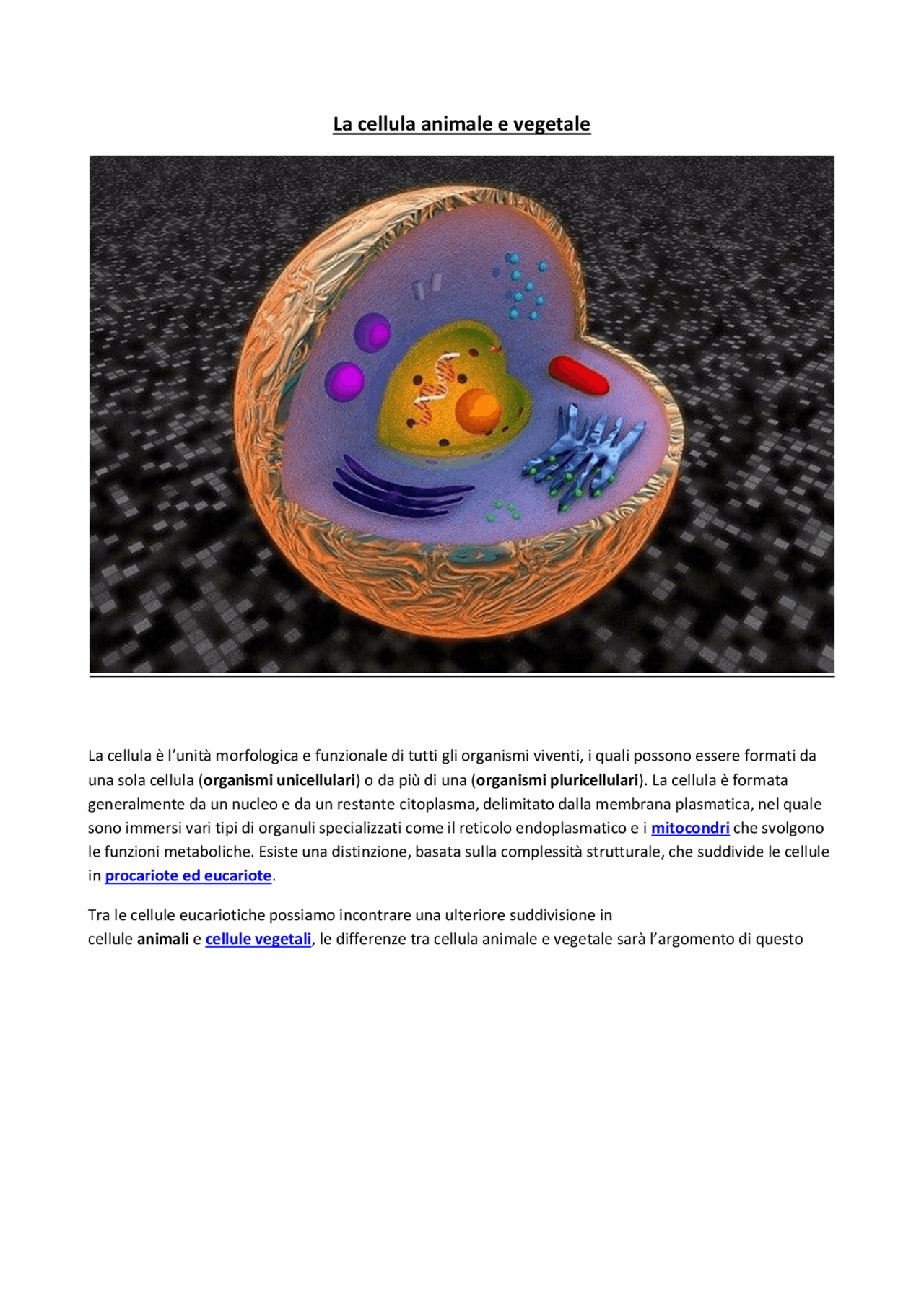 La cellula animale e vegetale - Docsity