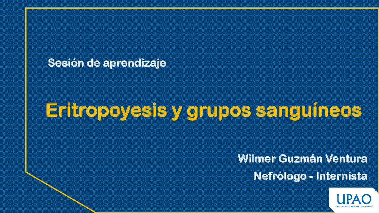 Eritropoyesis Y Sangre Diapositivas De Fisiología Docsity