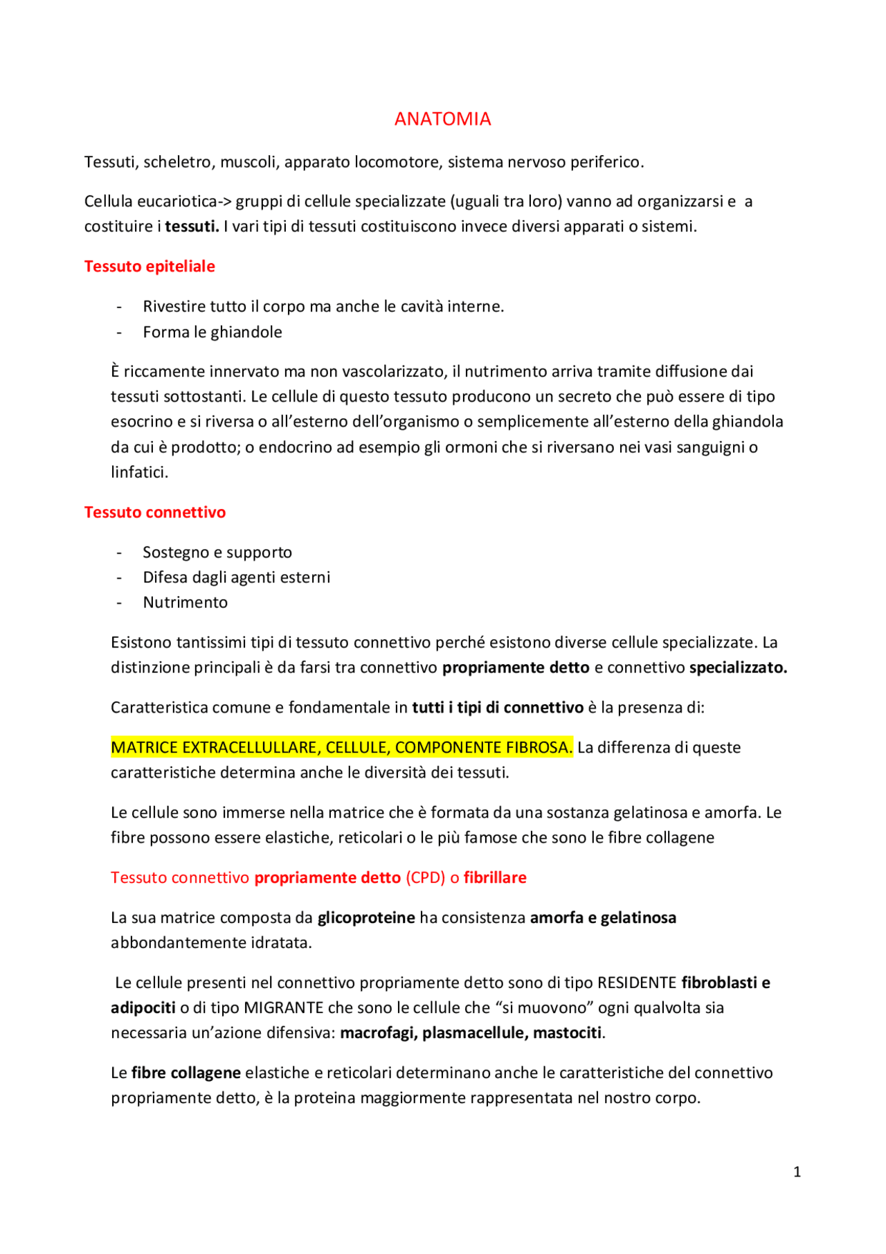 Anatomia Applicata All Attivita Motoria Docsity