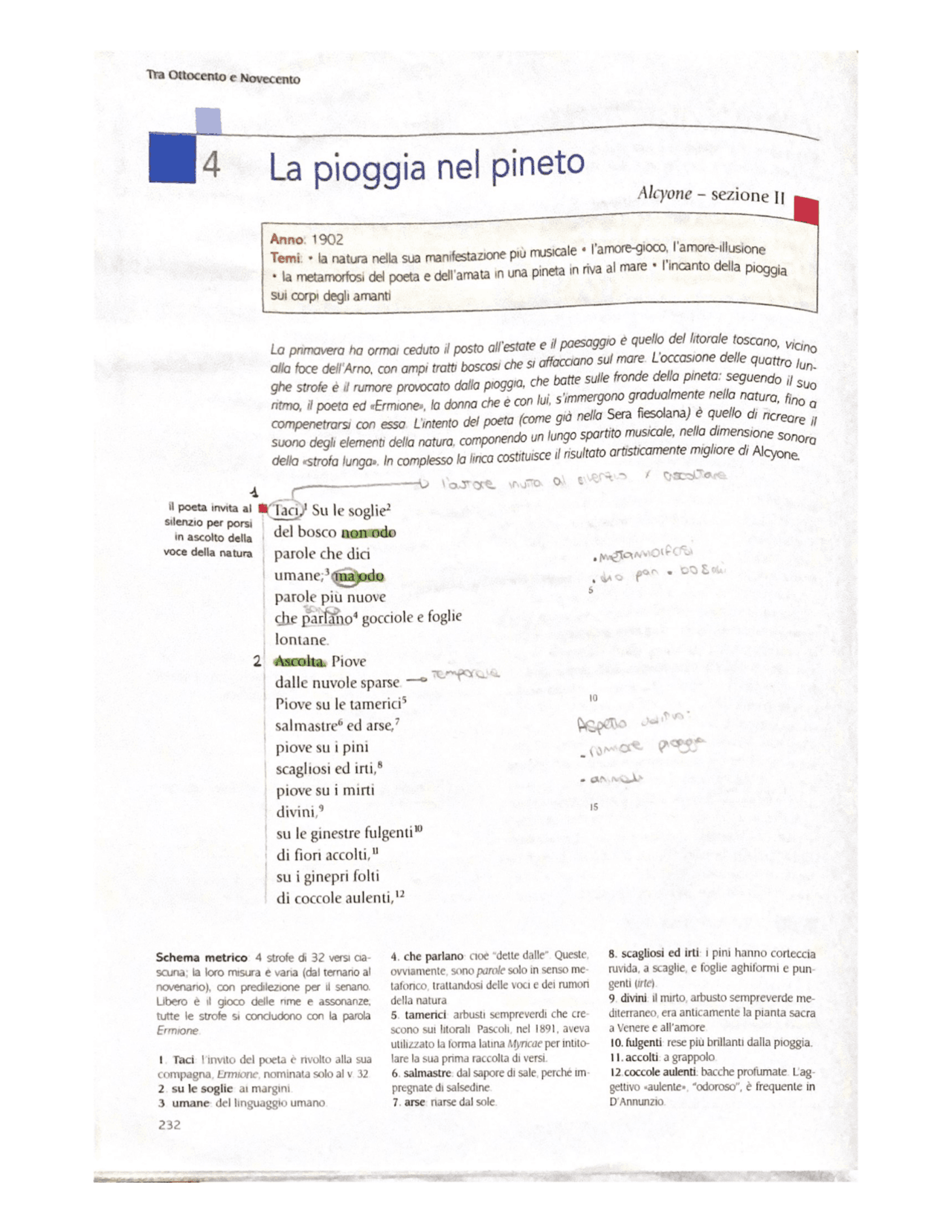 La Pioggia Nel Pineto Docsity
