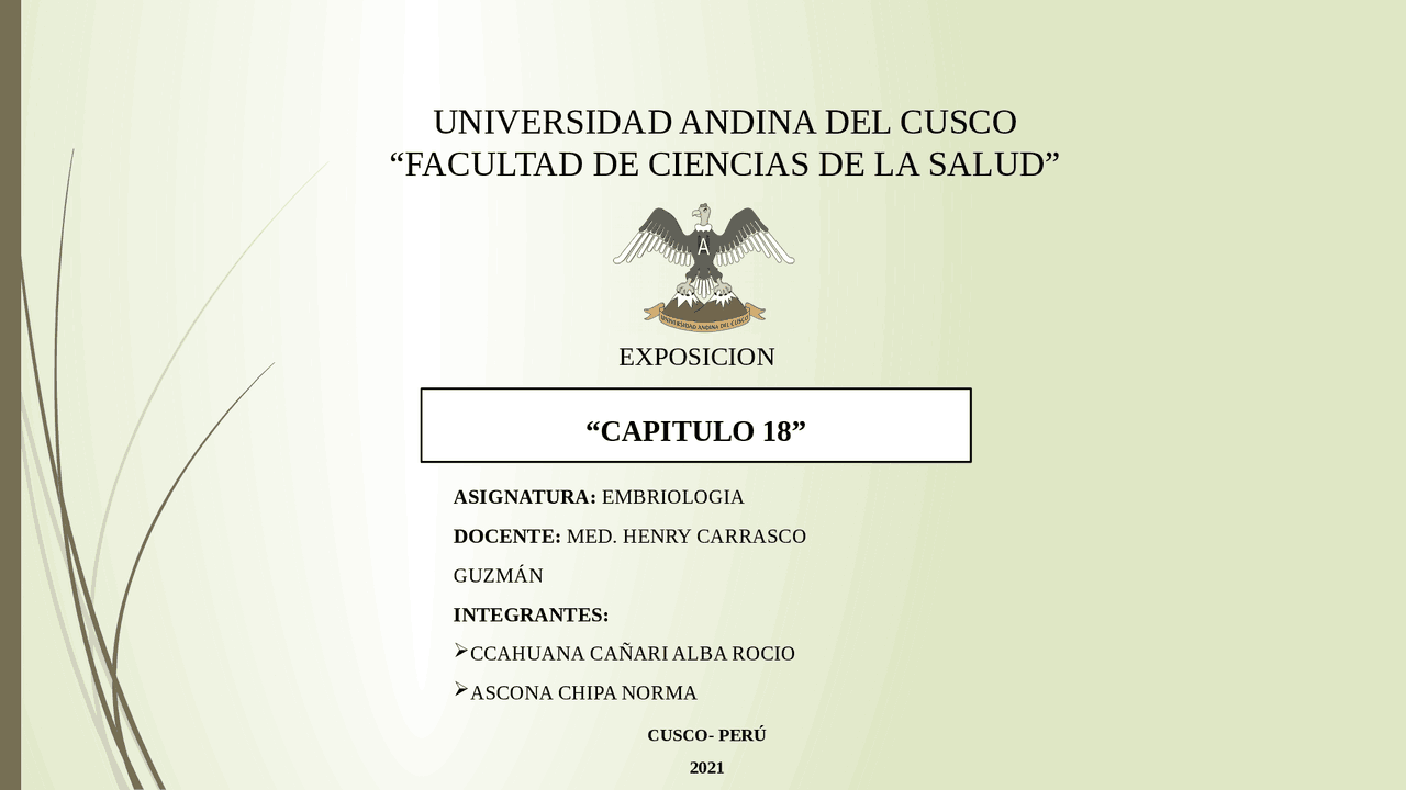 Capitulo 18 Sistema Nervioso Central Lagman Slides De Ciências Da
