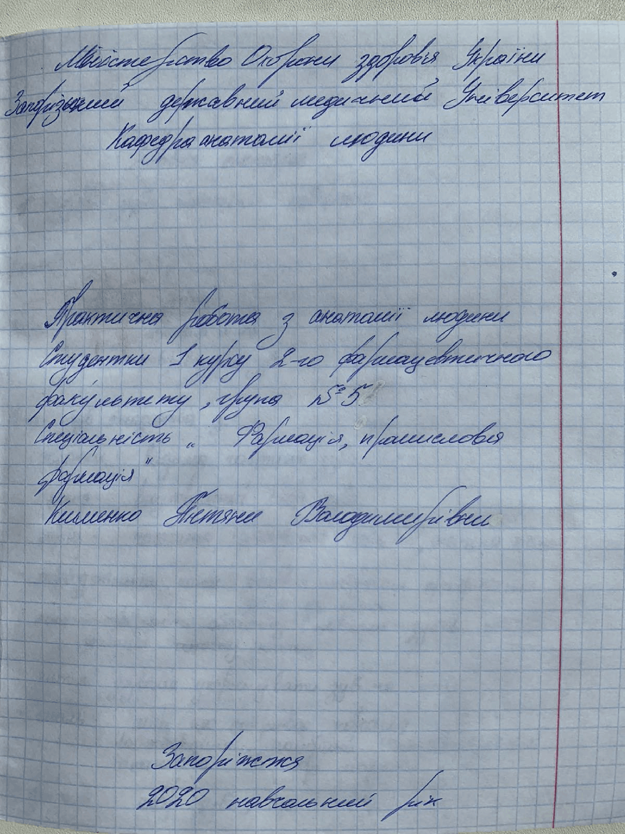 Анатомия тестирование Docsity