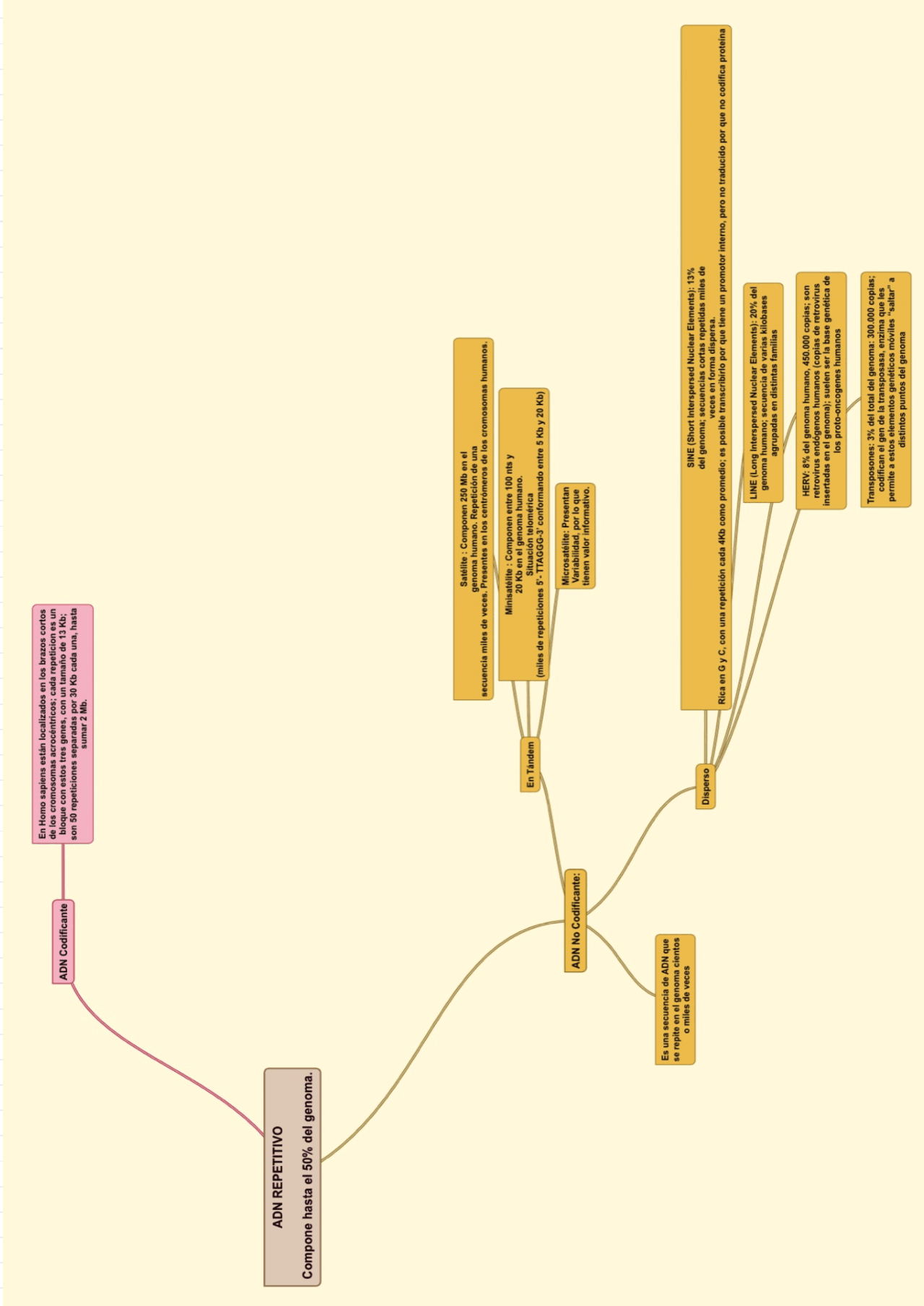 Resumen del ADN repetitivo - Docsity