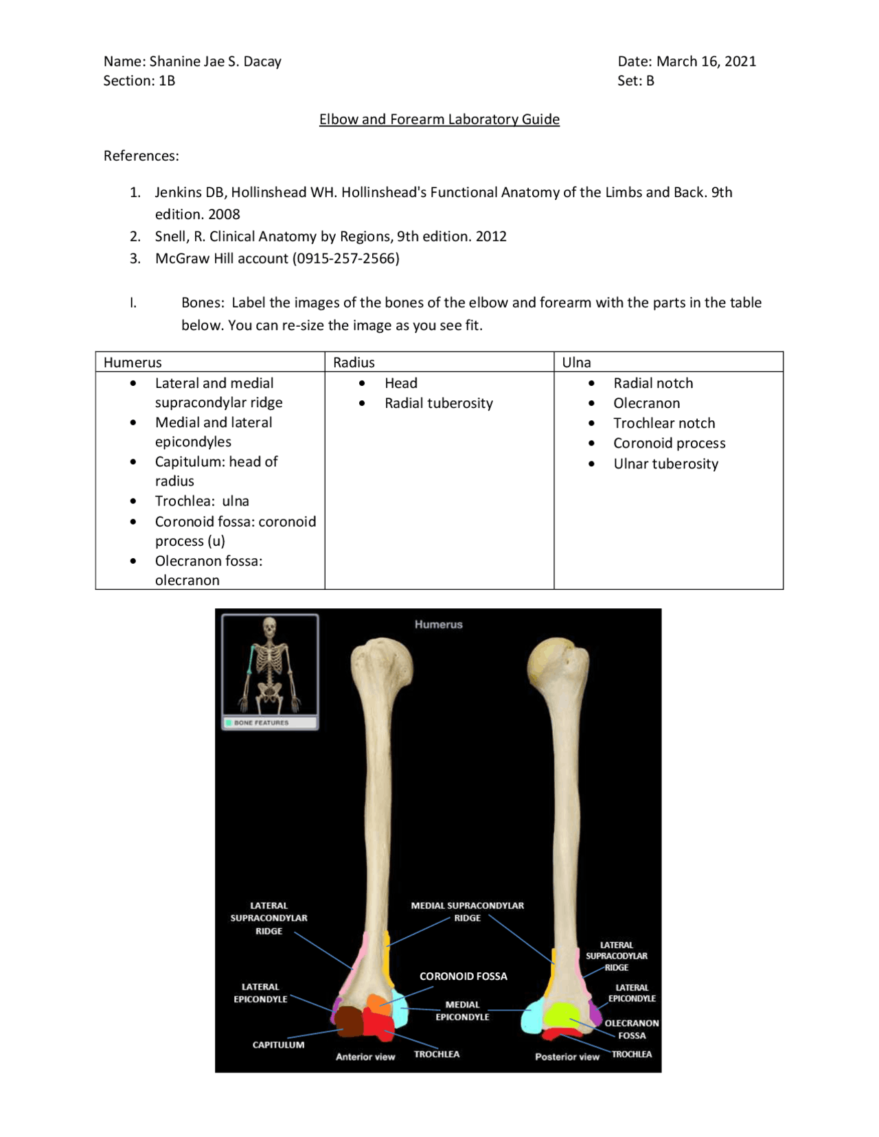 Elbow and Forearm Laboratory Activity - Docsity