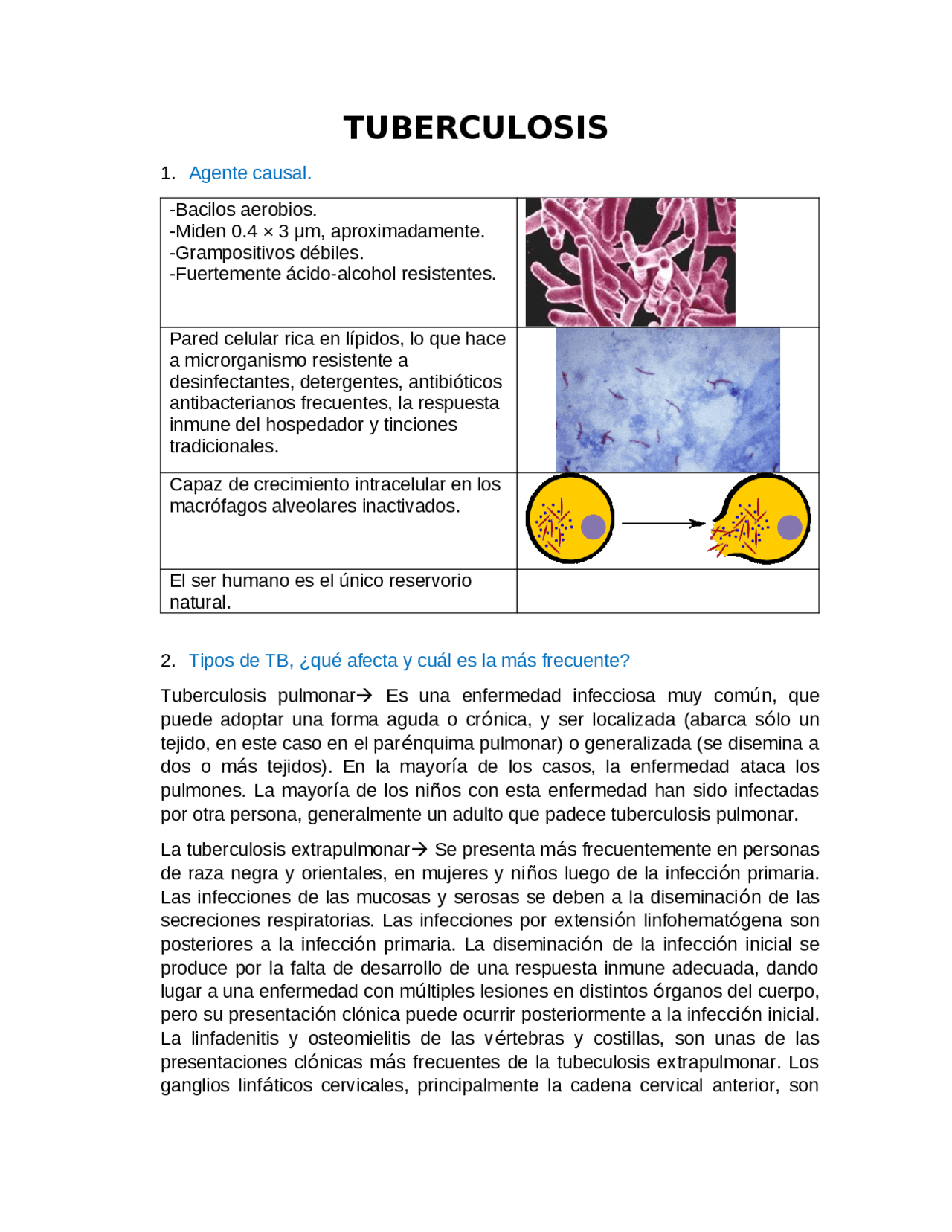Tuberculosis TB, definición y diagnóstico - Docsity