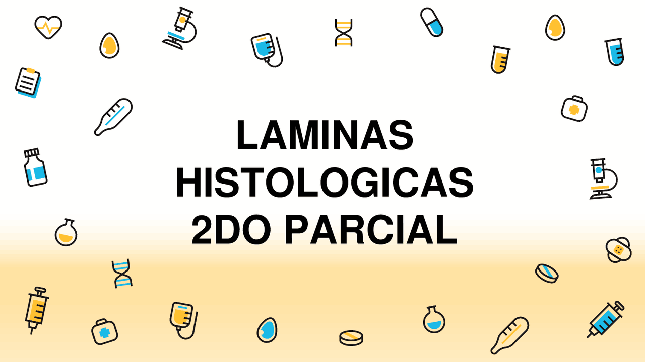 Laminas Histologicas Docsity