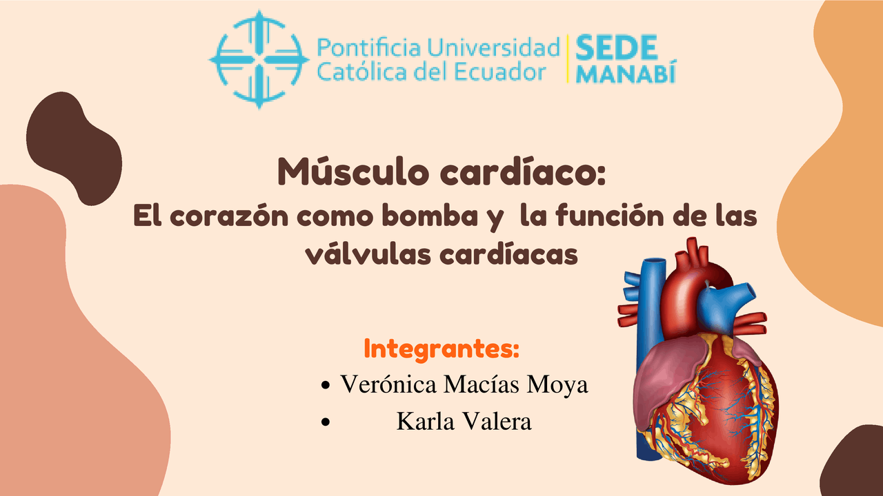 Corazón, musculo cardiaco - anatomía - Docsity