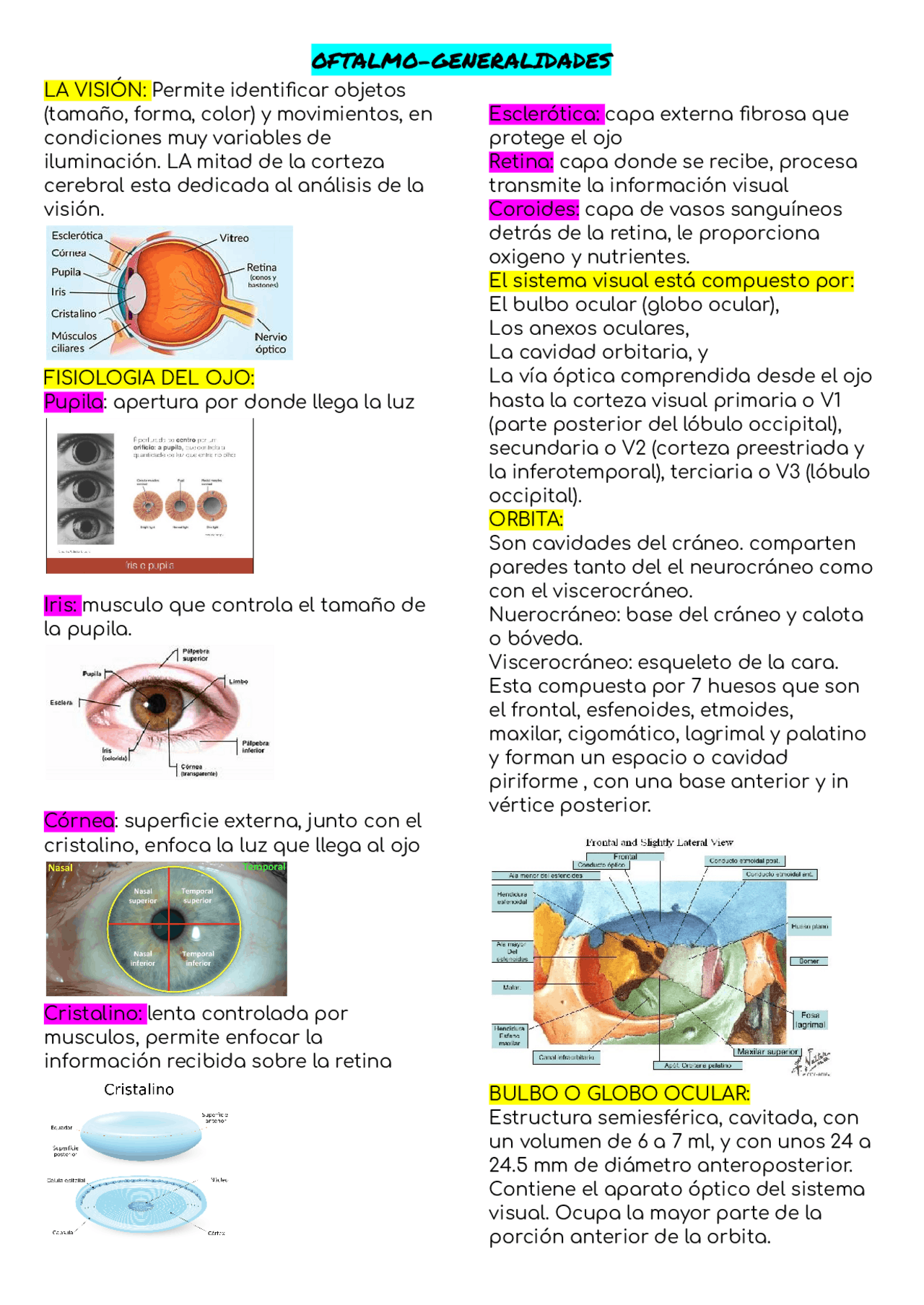 Oftalmologia Generalidades Resúmenes De Oftalmología Docsity