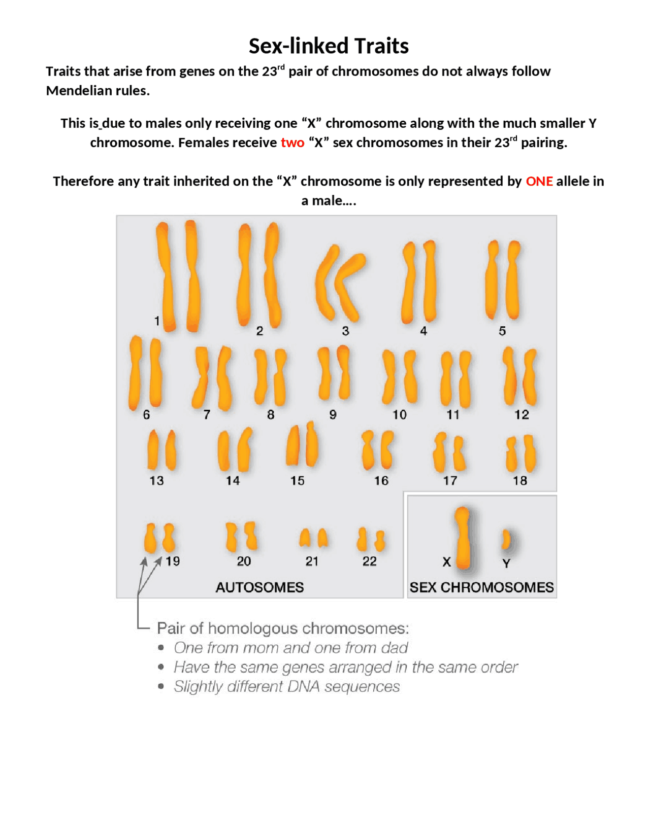 SEX LINKED TRAITS PROJECTOR - Docsity