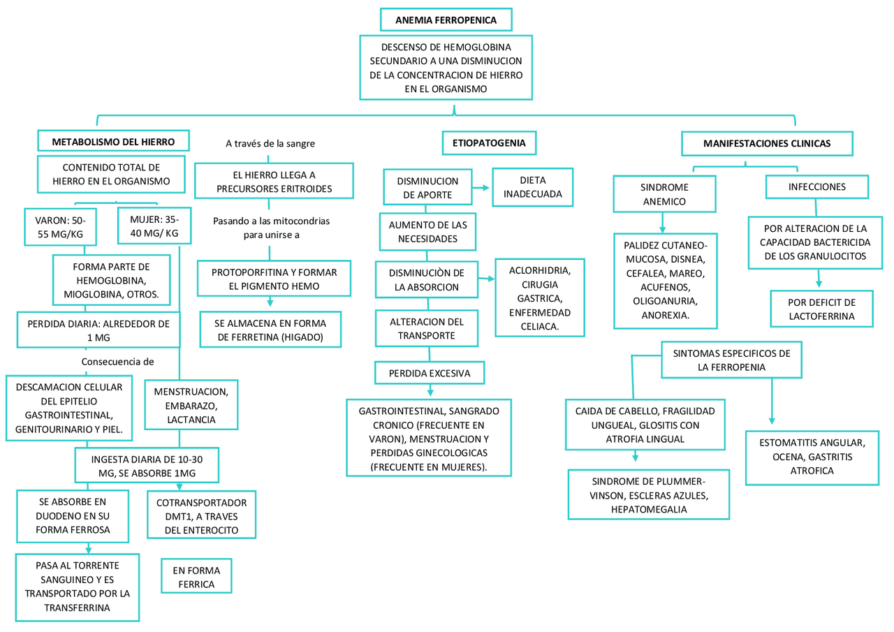 Mapa Anemia Ferropénica | Esquemas y mapas conceptuales de Hematología ...