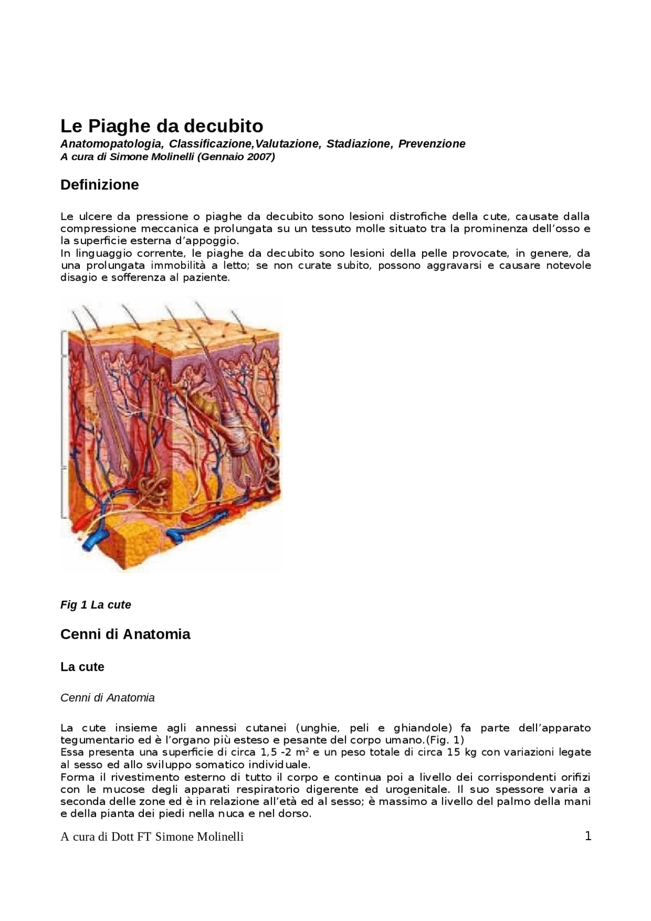 LESIONI DA PRESSIONE GESTIONE INFERMIERISTICA - Docsity