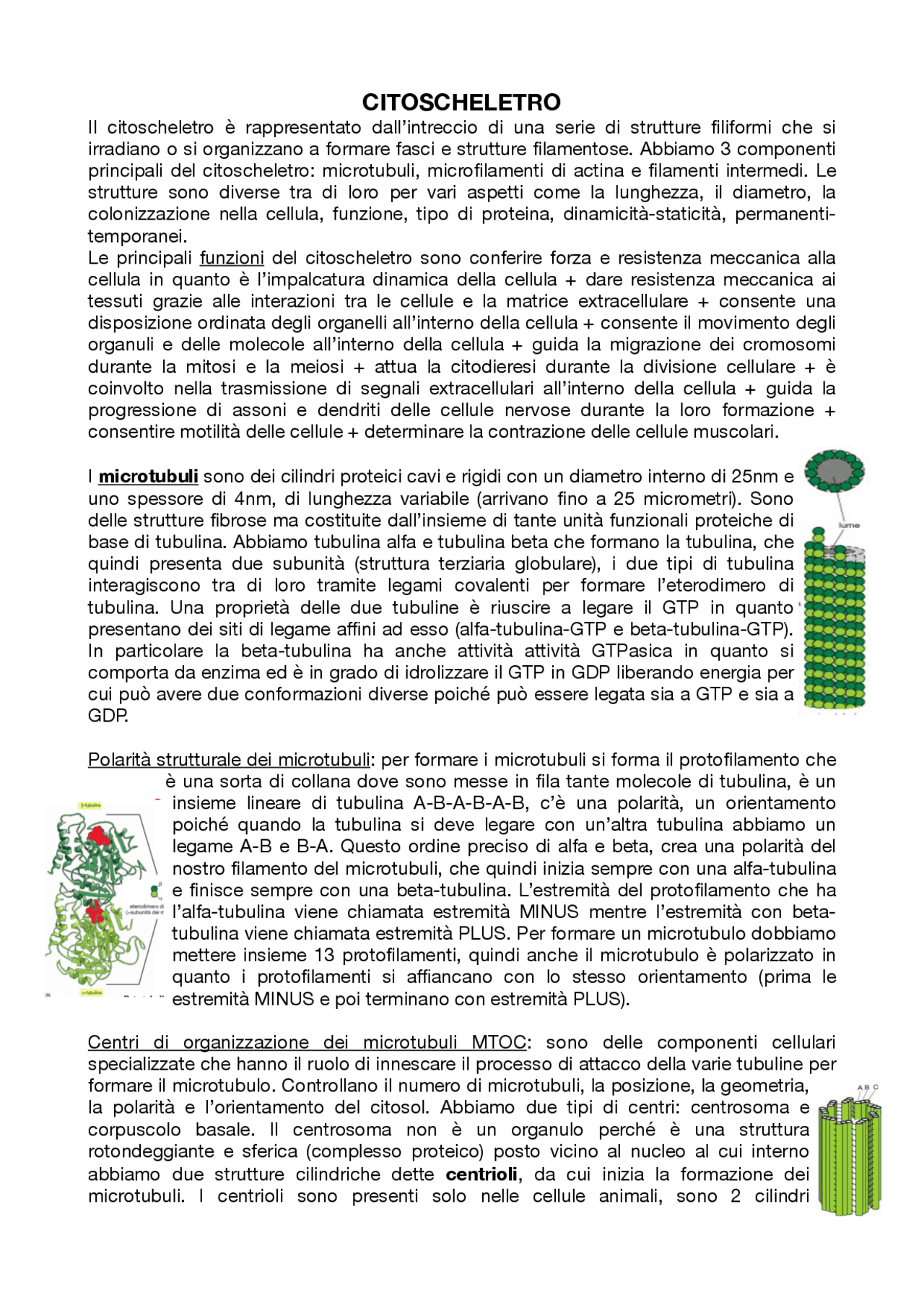 Appunti Biologia Seconda Parte Docsity