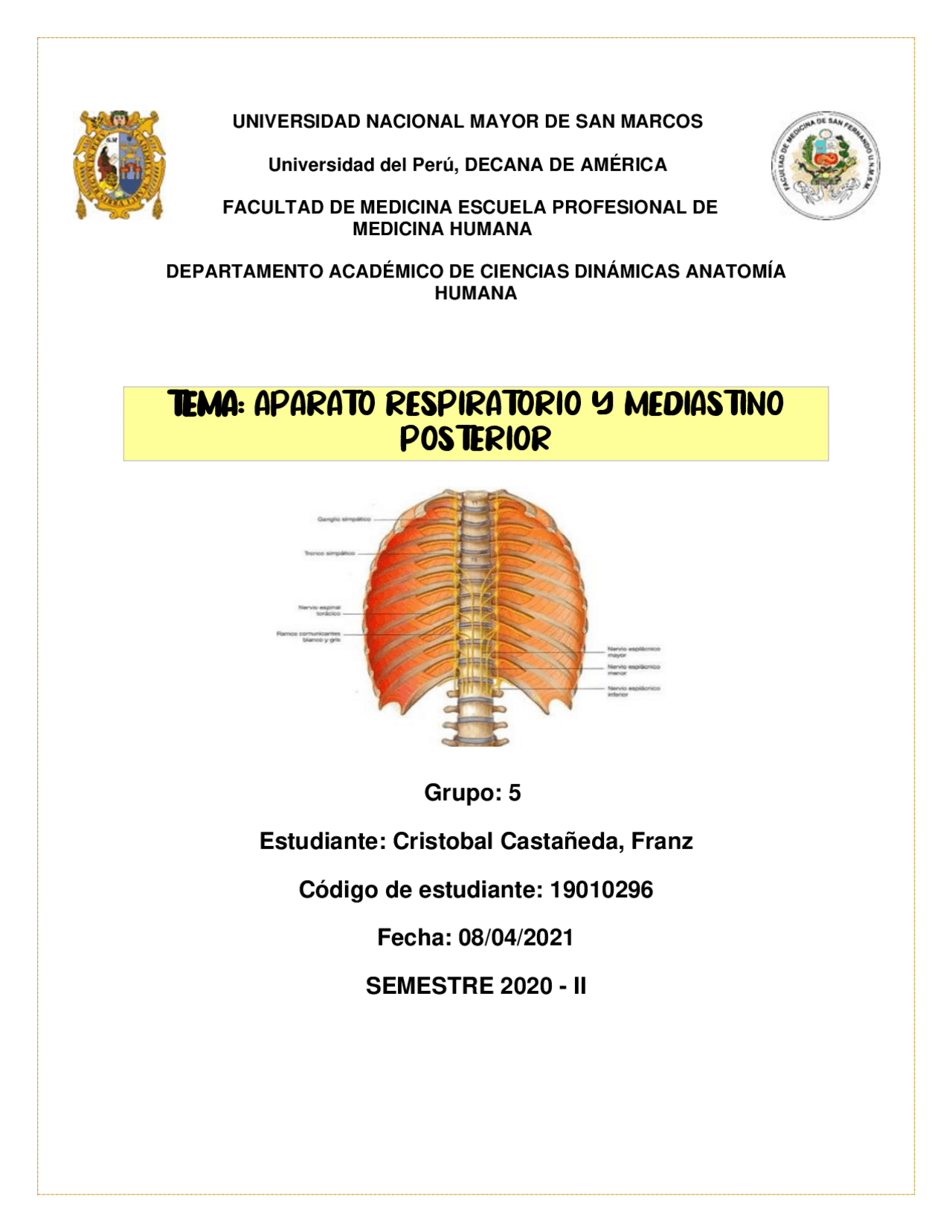 Resumen De Clases De Anatomia Apuntes De Anatomía Docsity