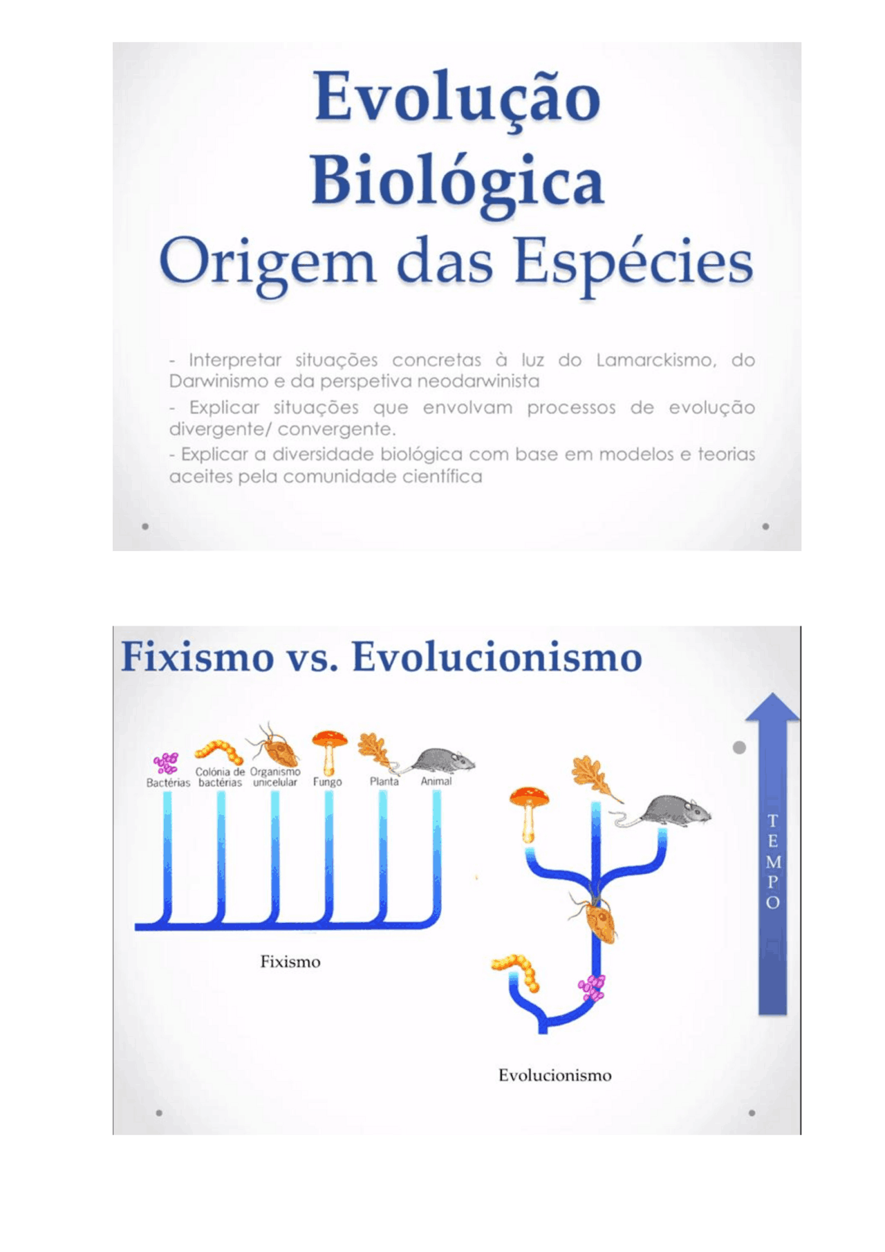 Resumos Sobre Biologia Exame Docsity