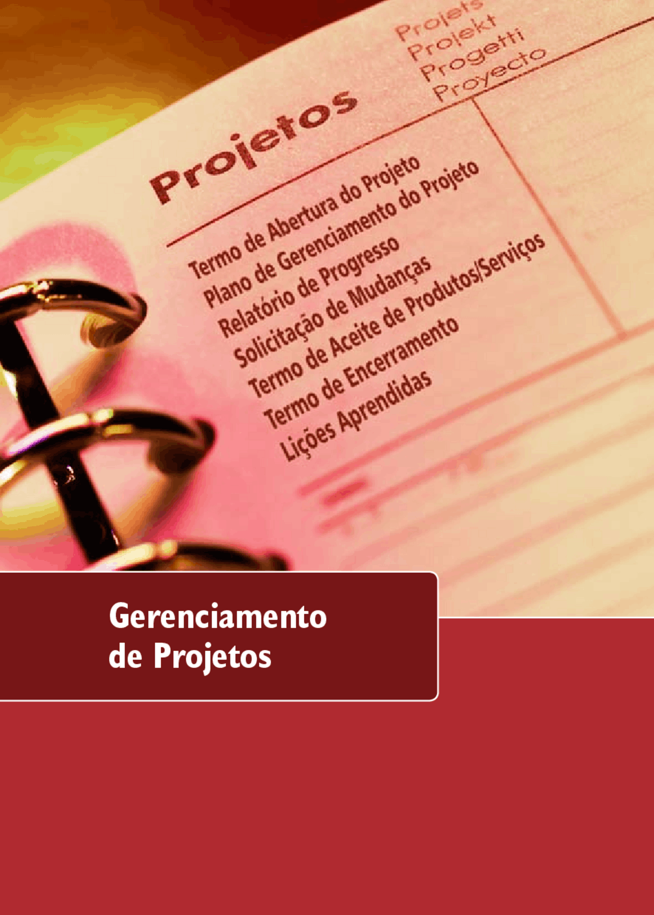 Manual Básico Gestão Do Projetos Docsity