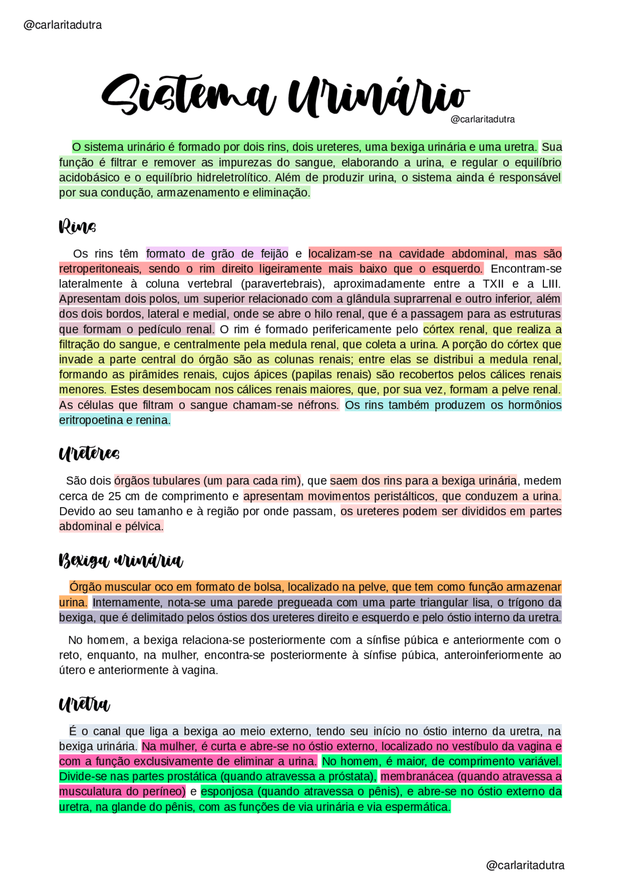 Resumo Completo Do Sistema Urinário Docsity