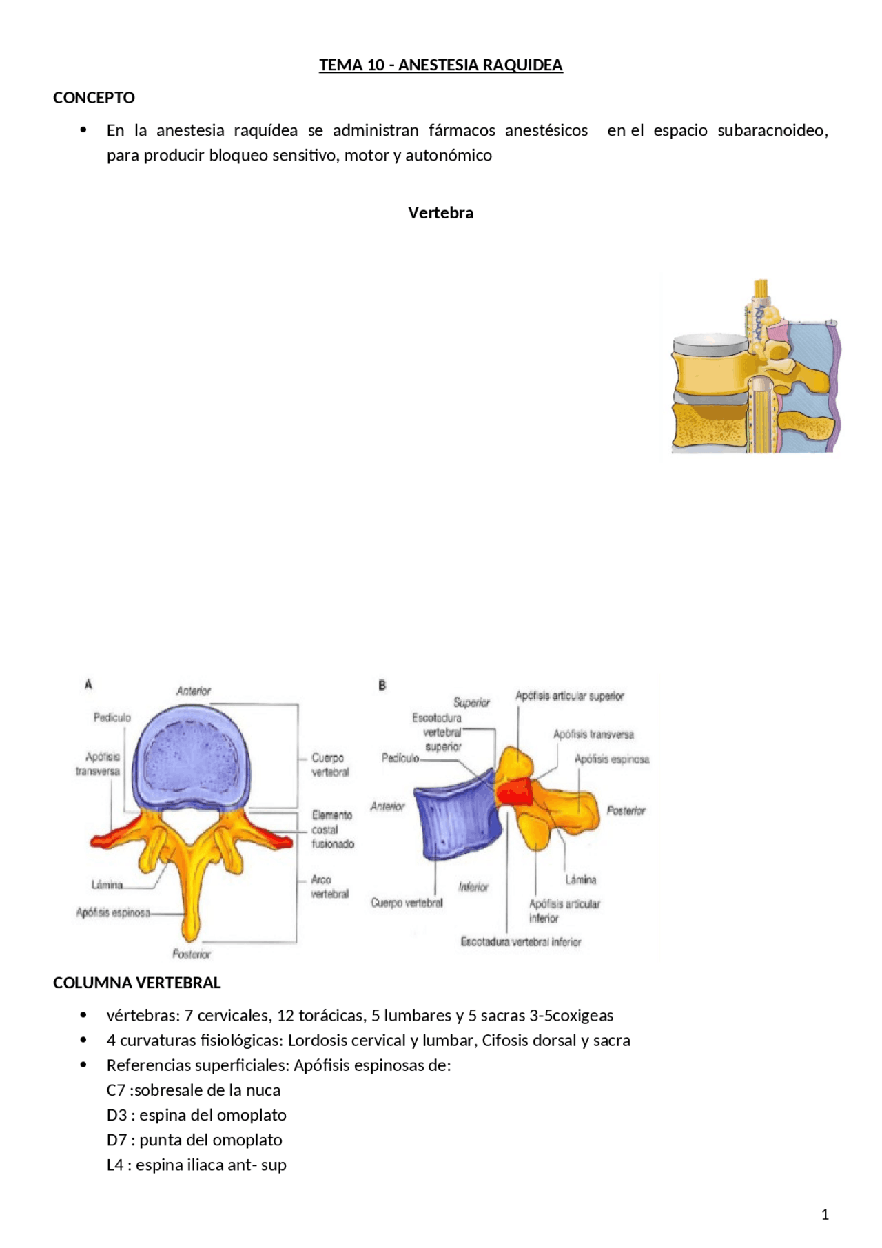 Tema de anestesia raquidea - Docsity