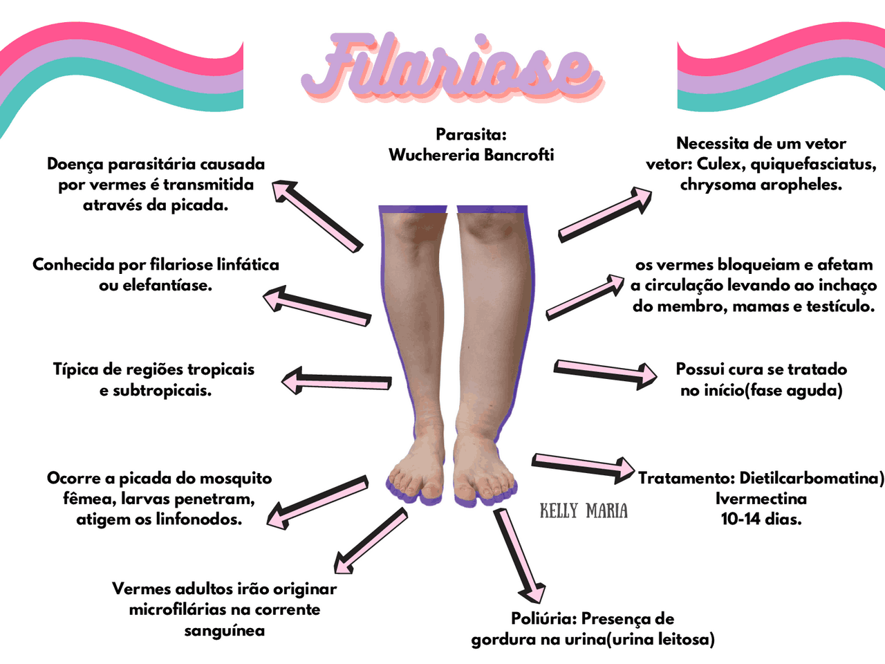 FILARIOSE MAPA MENTAL RESUMIDO | Esquemas Parasitologia - Docsity