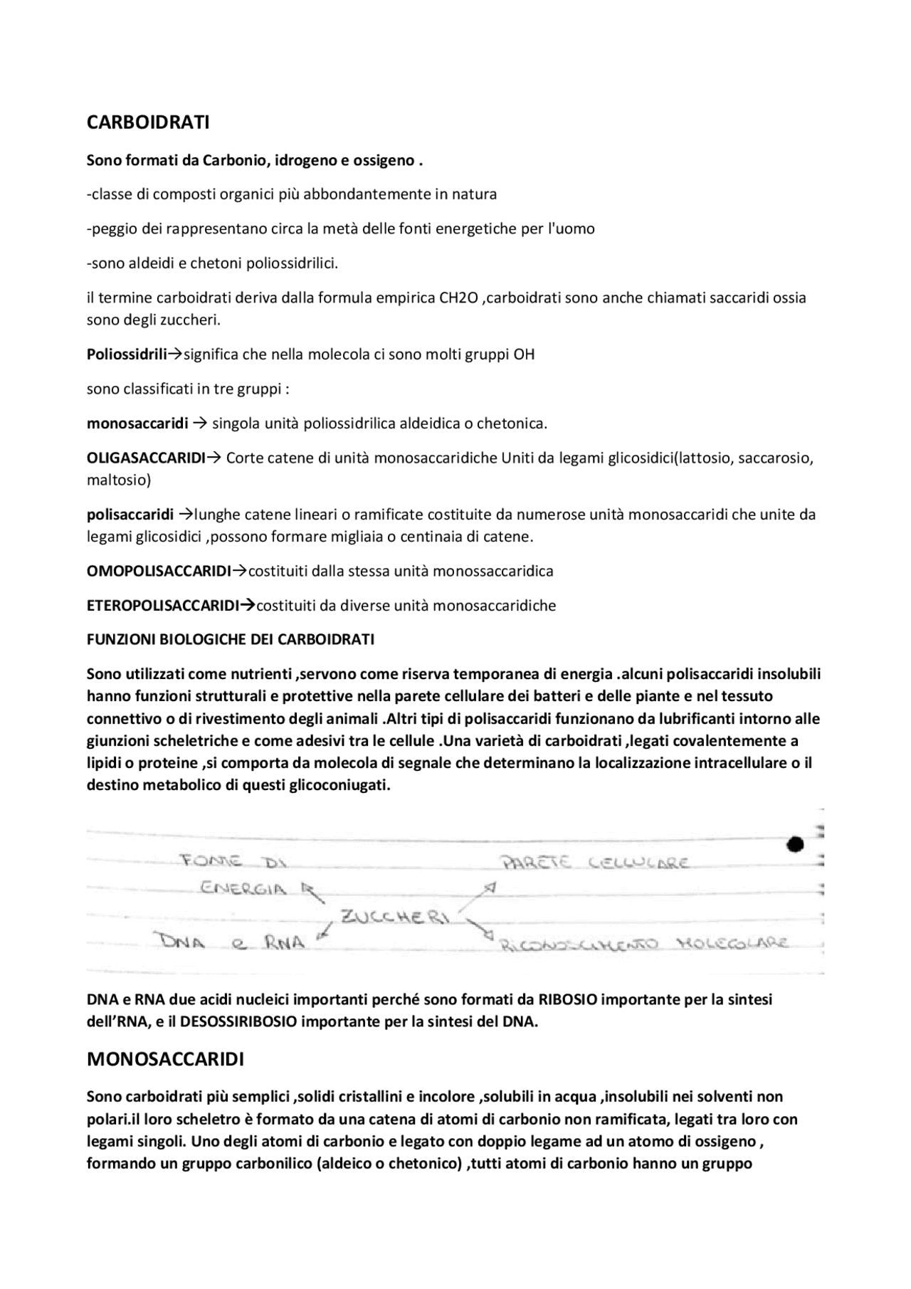Biochimica Carboidrati Docsity