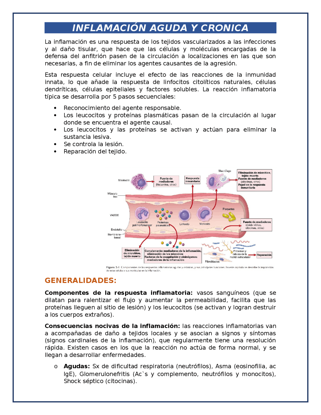 Resumen Inflamacion Aguda Y Cronica Docsity