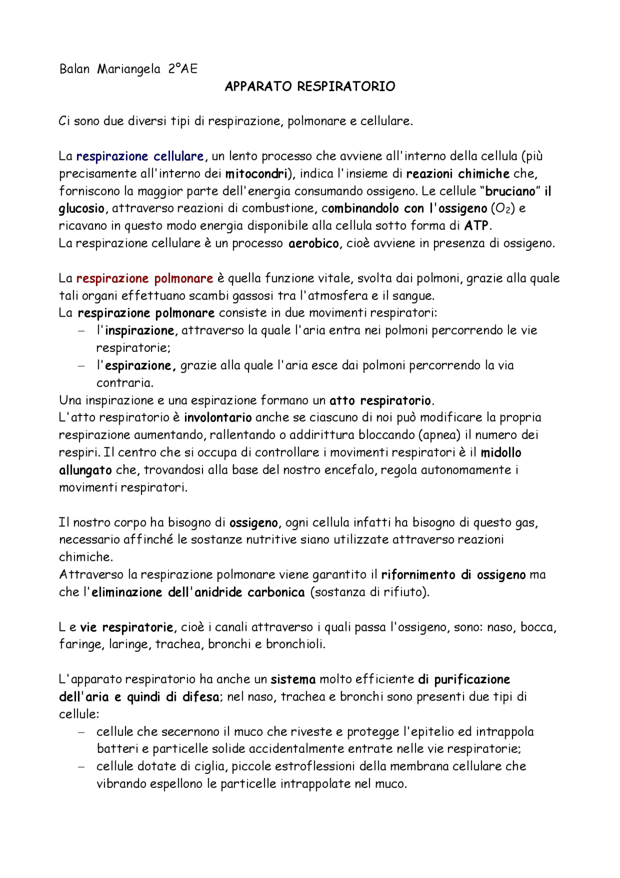 Apparato Respiratorio Riassunto Docsity