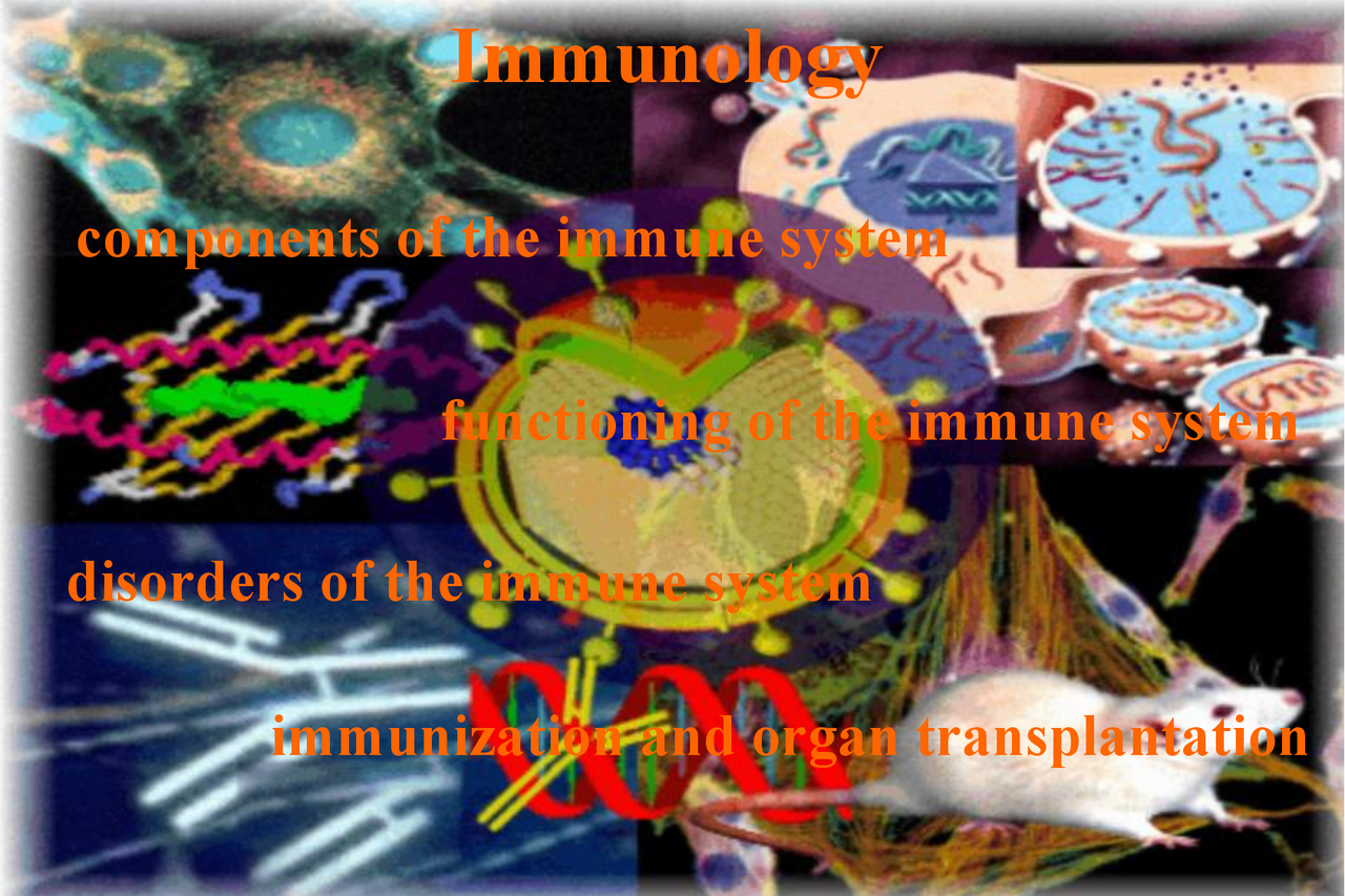 Immunology Lecture 1 Lecture Notes Immunology Docsity