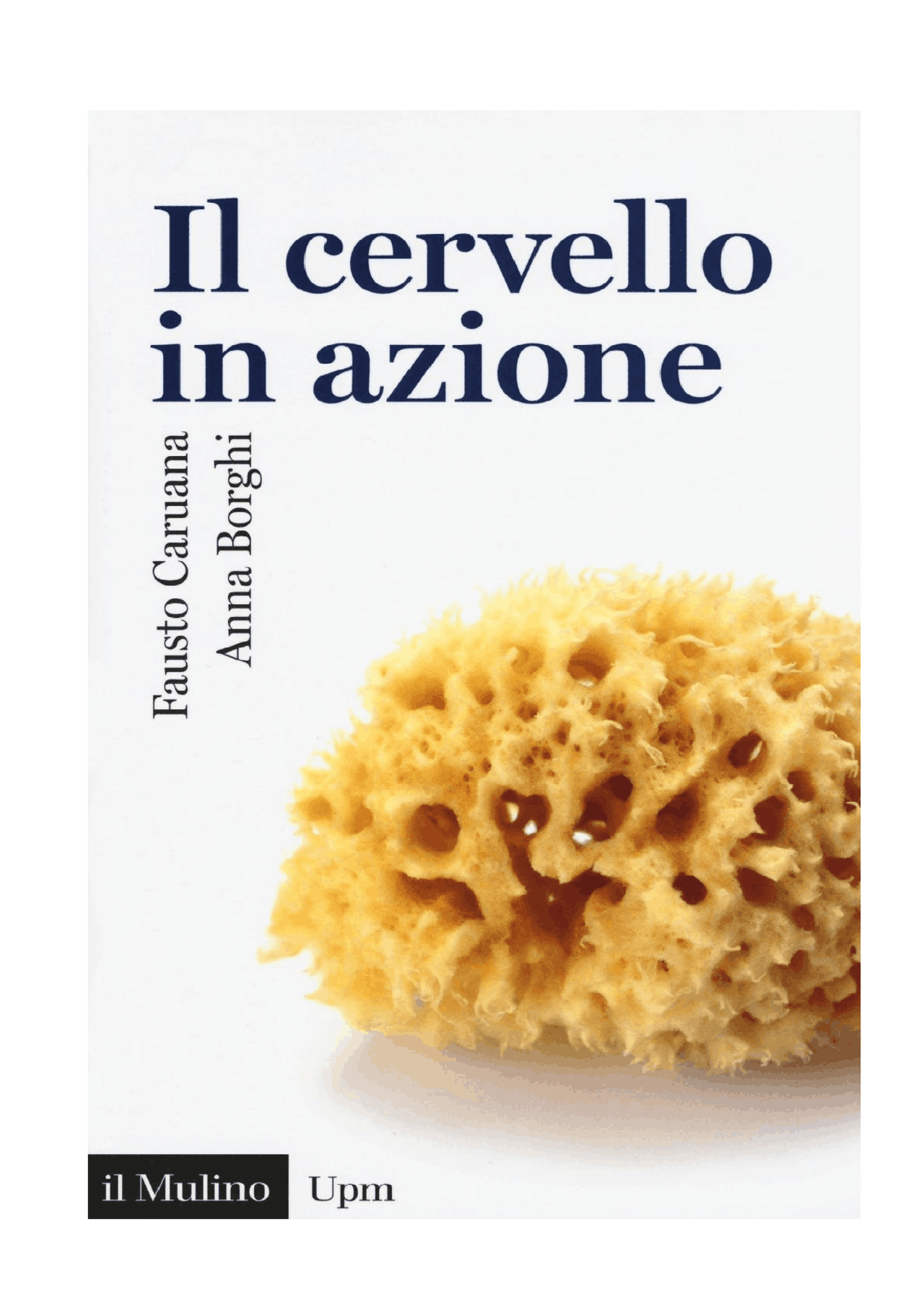 Il Cervello In Azione Docsity
