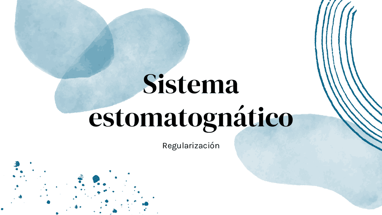 Sistema Estomatognático Docsity