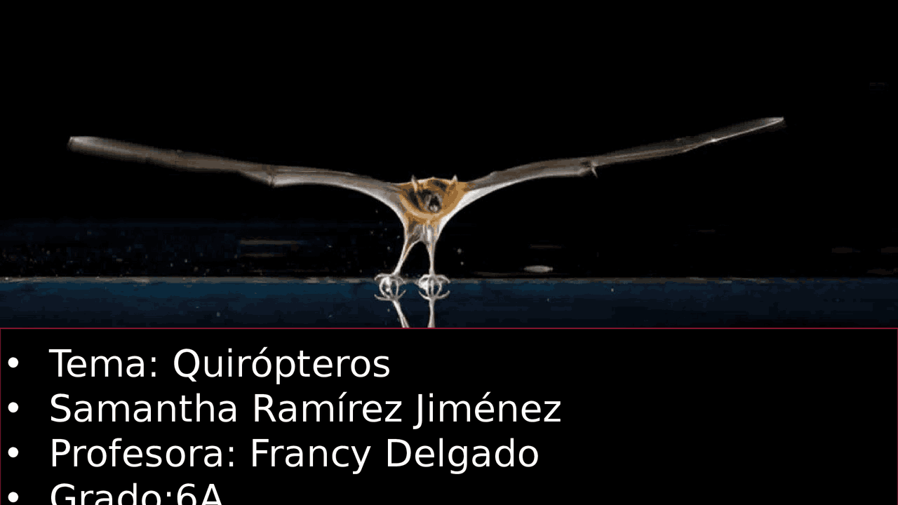 Explicación de los Quirópteros - Docsity