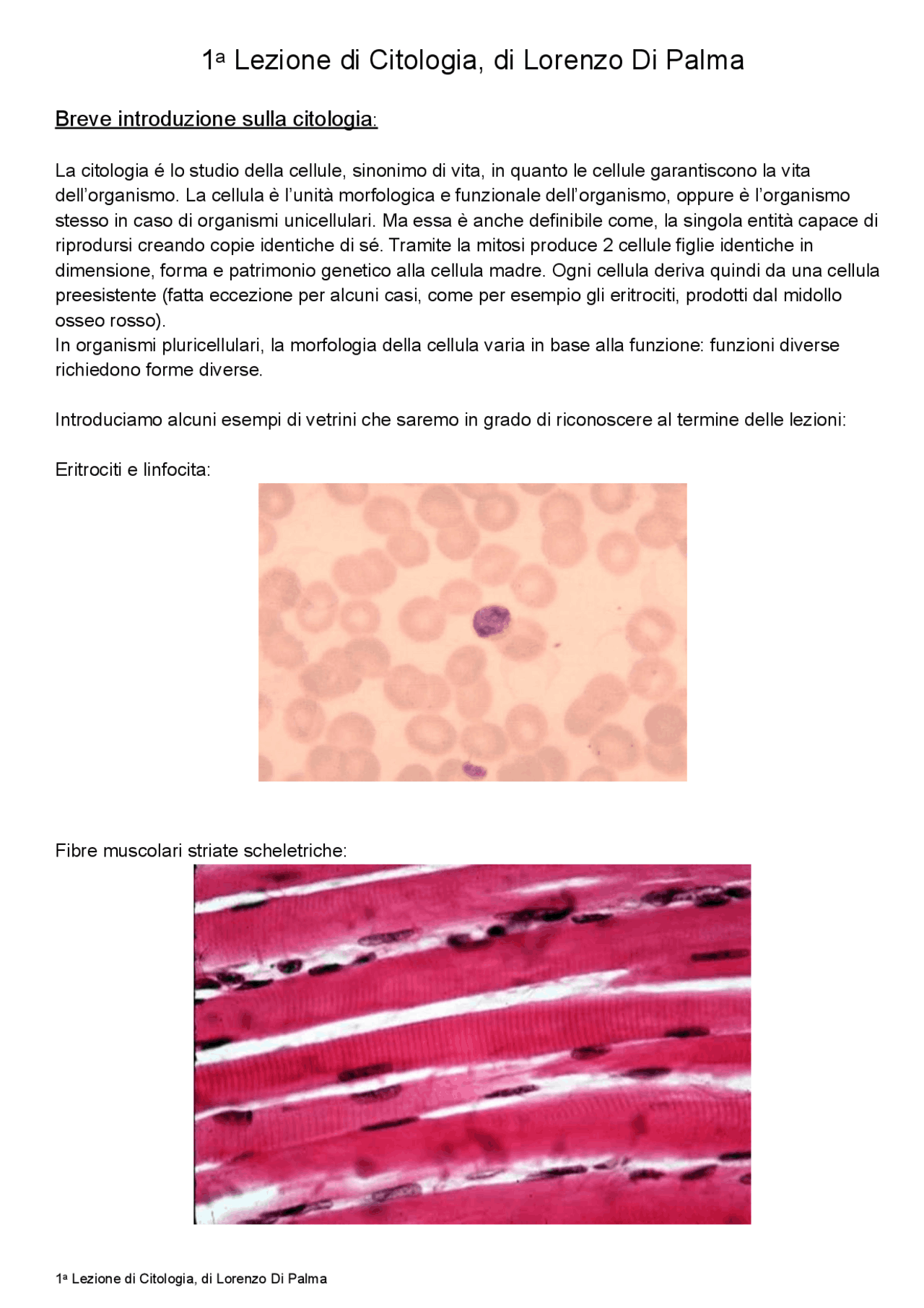 Appunti Di Citologia Docsity