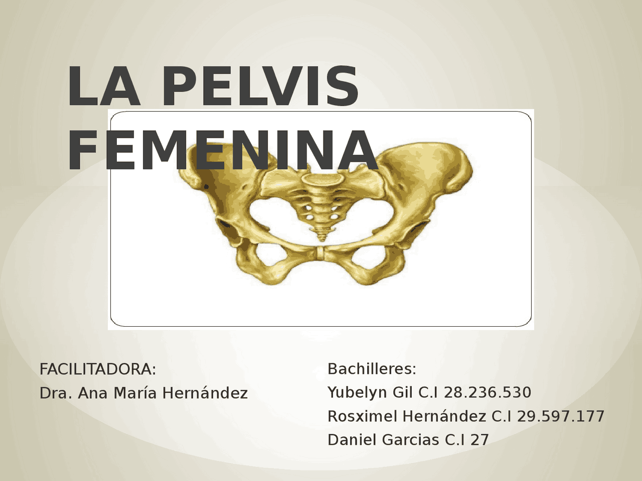 Pelvis femenina anatomía - Docsity