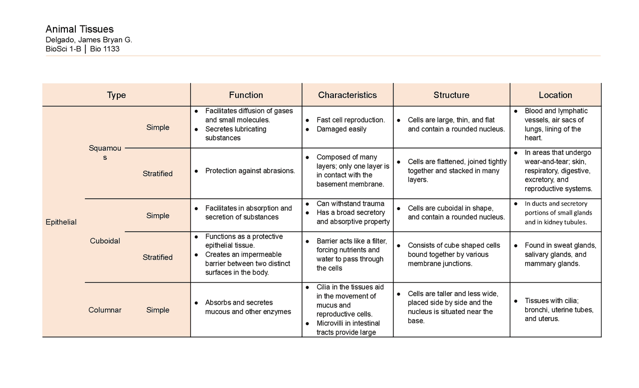 The animal tissues and its function - Docsity