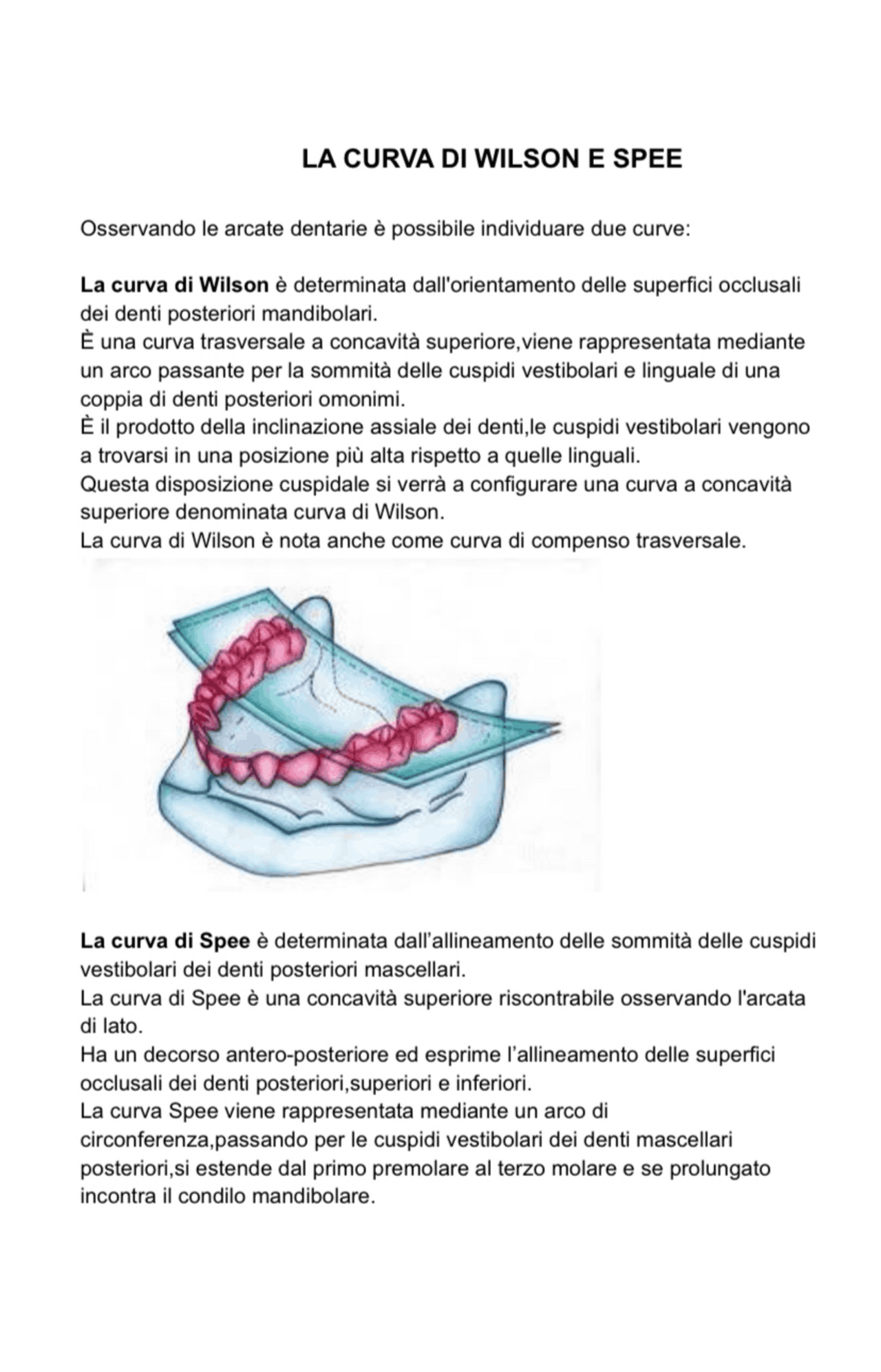 LA CURVA DI WILSON E SPEE | Appunti di Rappresentazione e Modellazione ...