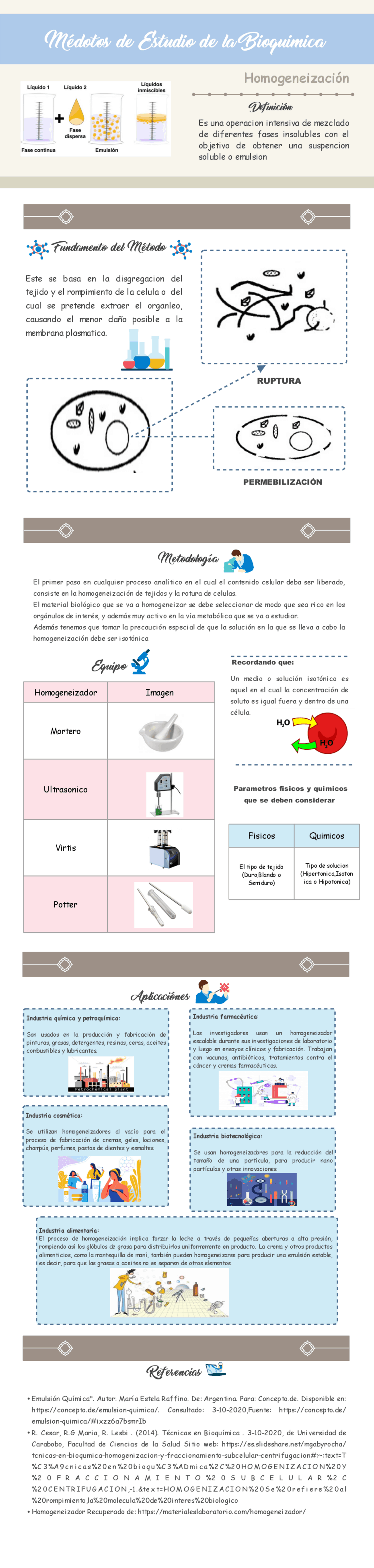 Infografía Homogeneización - Docsity