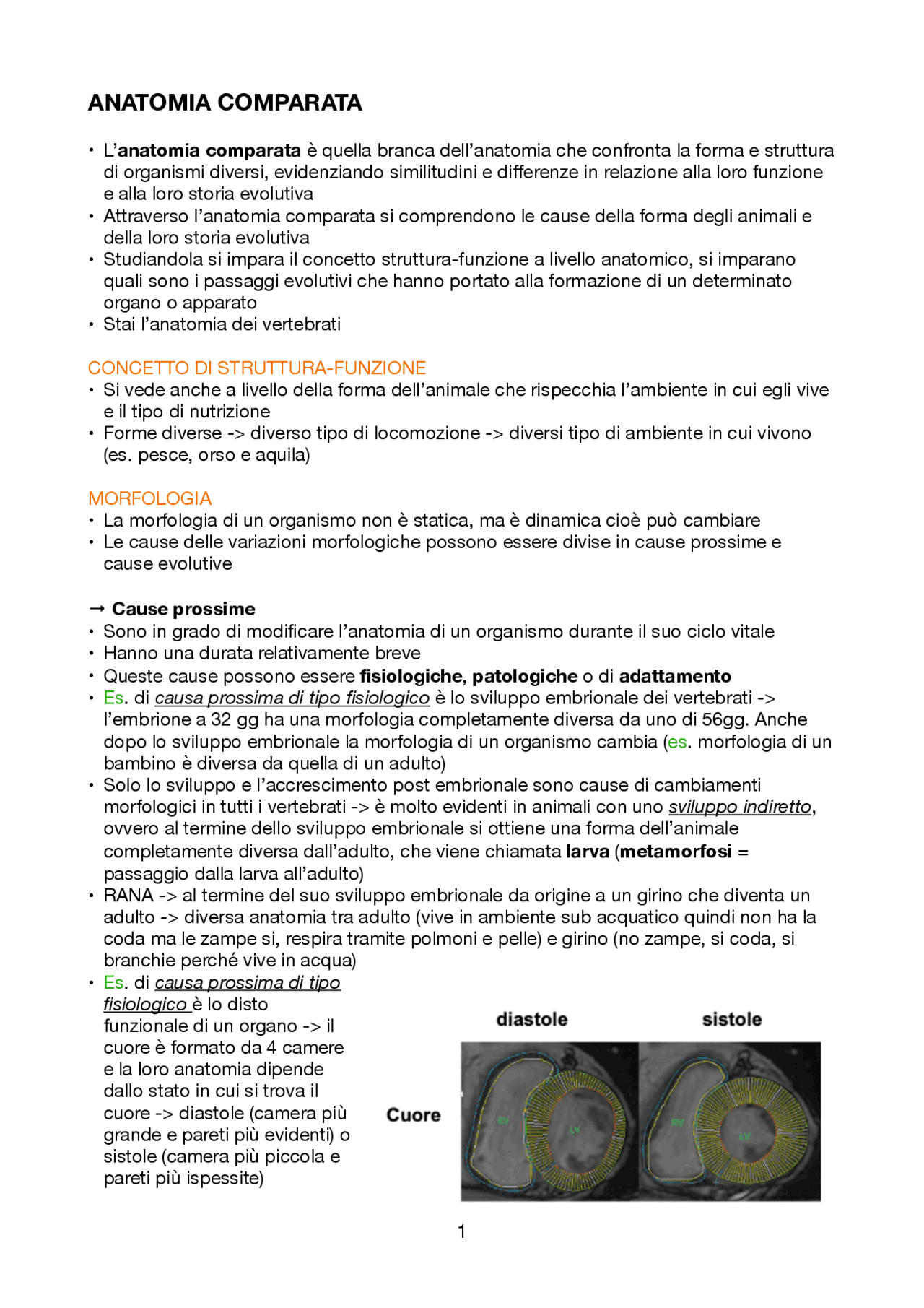 Anatomia Comparata Introduzione Docsity