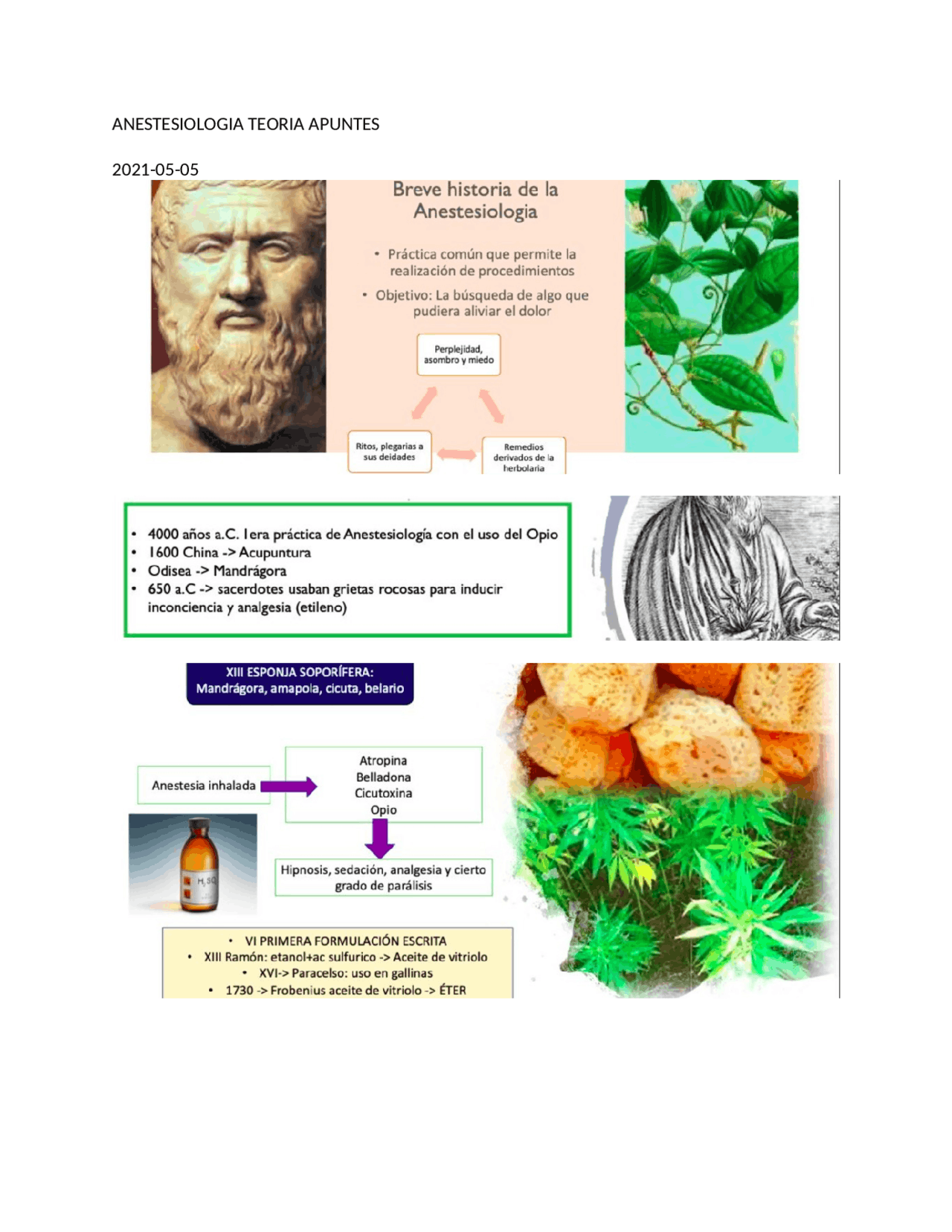 Apuntes Anestesiologia Docsity