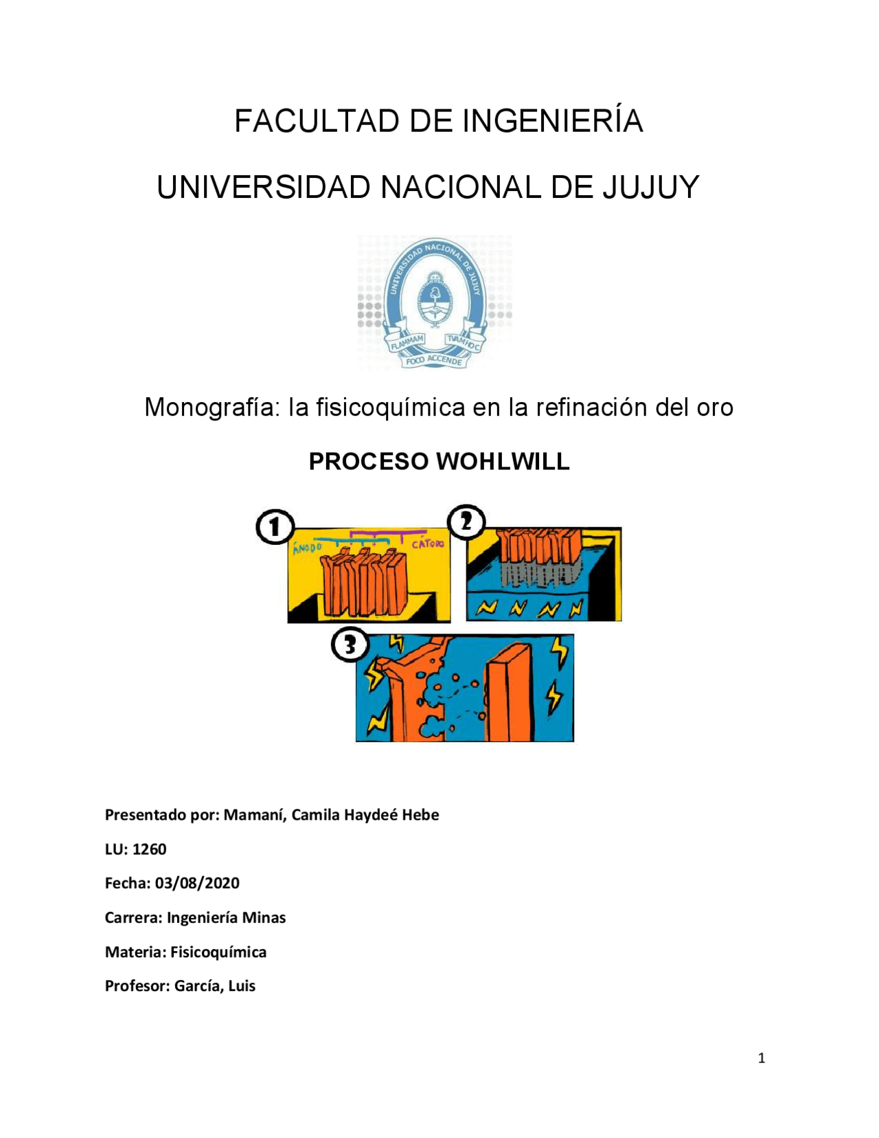 Proceso de Wohl-Will - Docsity