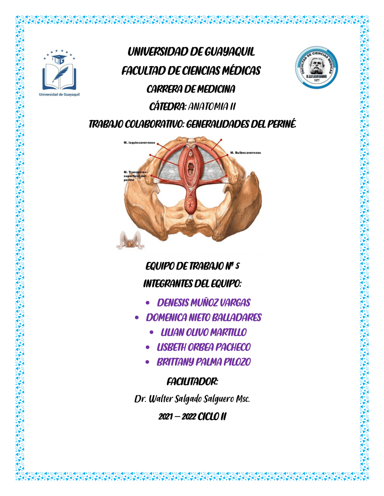 PERINE GENERALIDADES Y DESCRIPCION | Resúmenes de Anatomía | Docsity