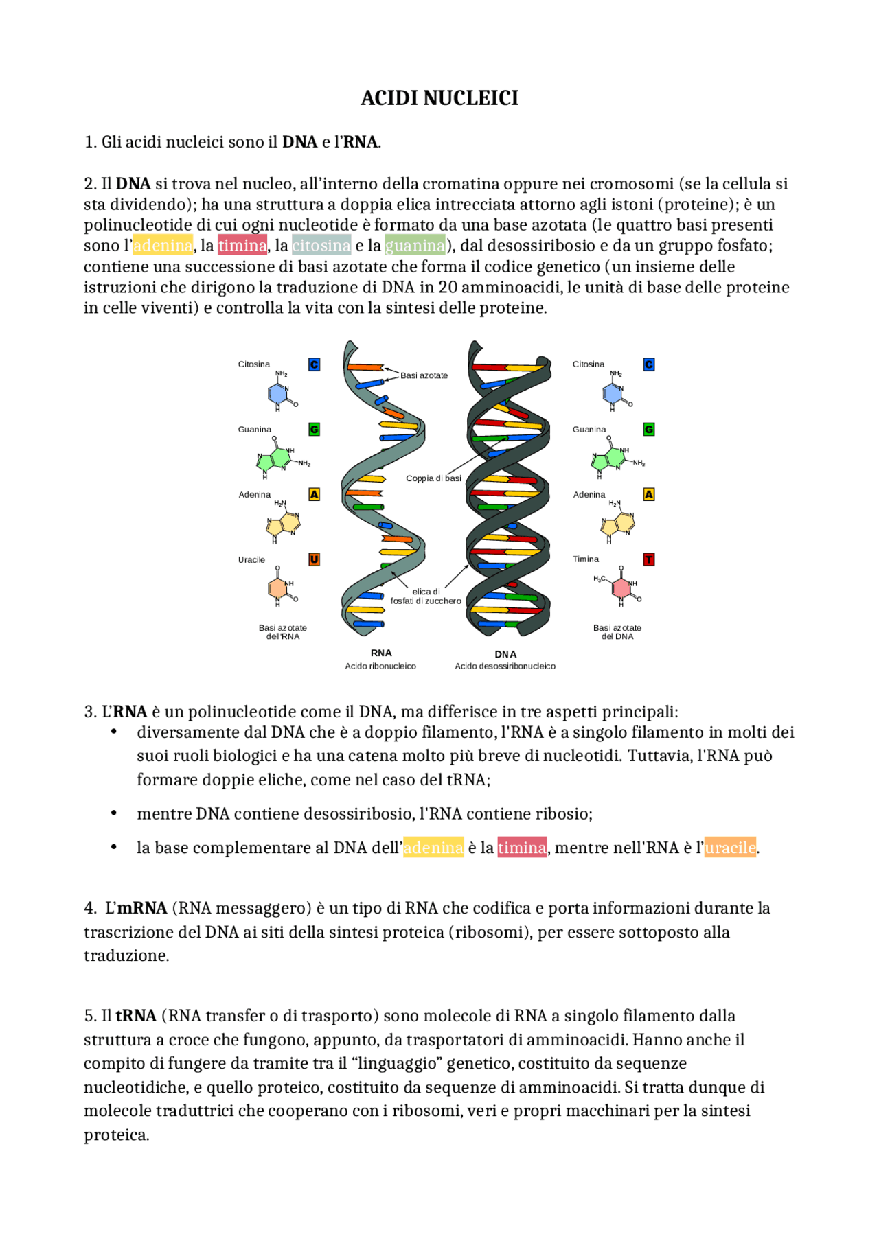 Gli Acidi Nucleici Dna E Rna Docsity