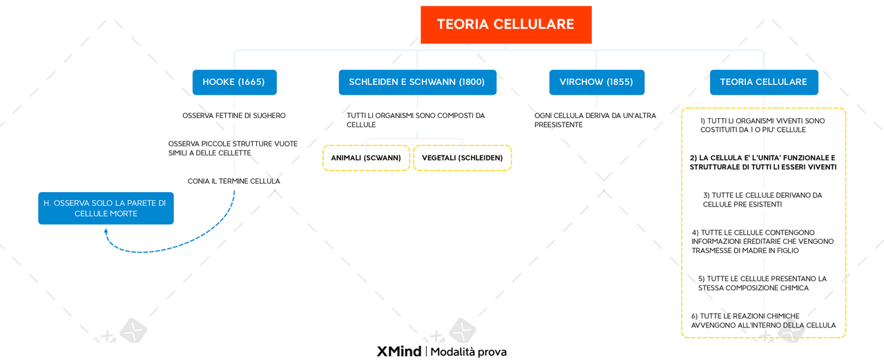 Teoria Cellulare 3 Parti Biologia Per Il Liceo/La Cellula Wikibooks,